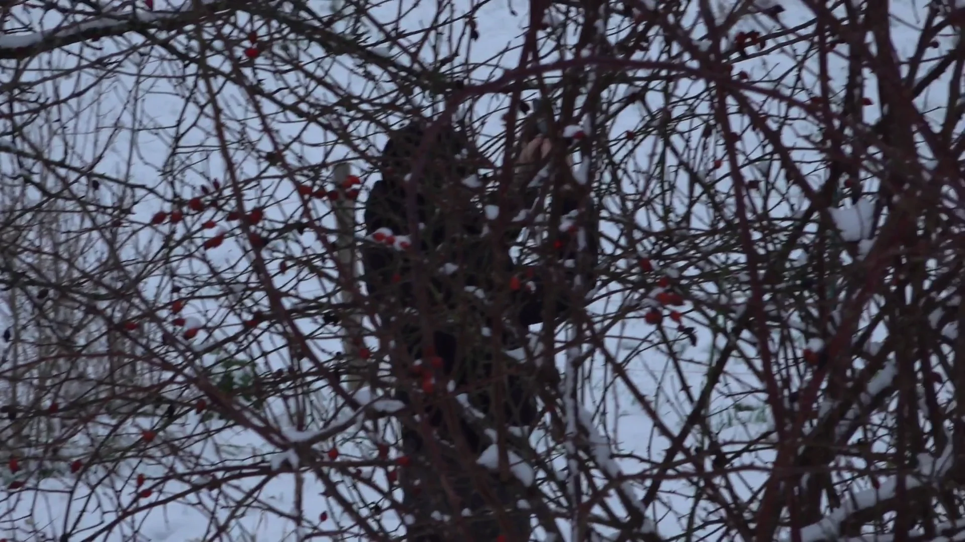 Mathieu Boisadan Le vent, la flamme, le beton.. on Vimeo