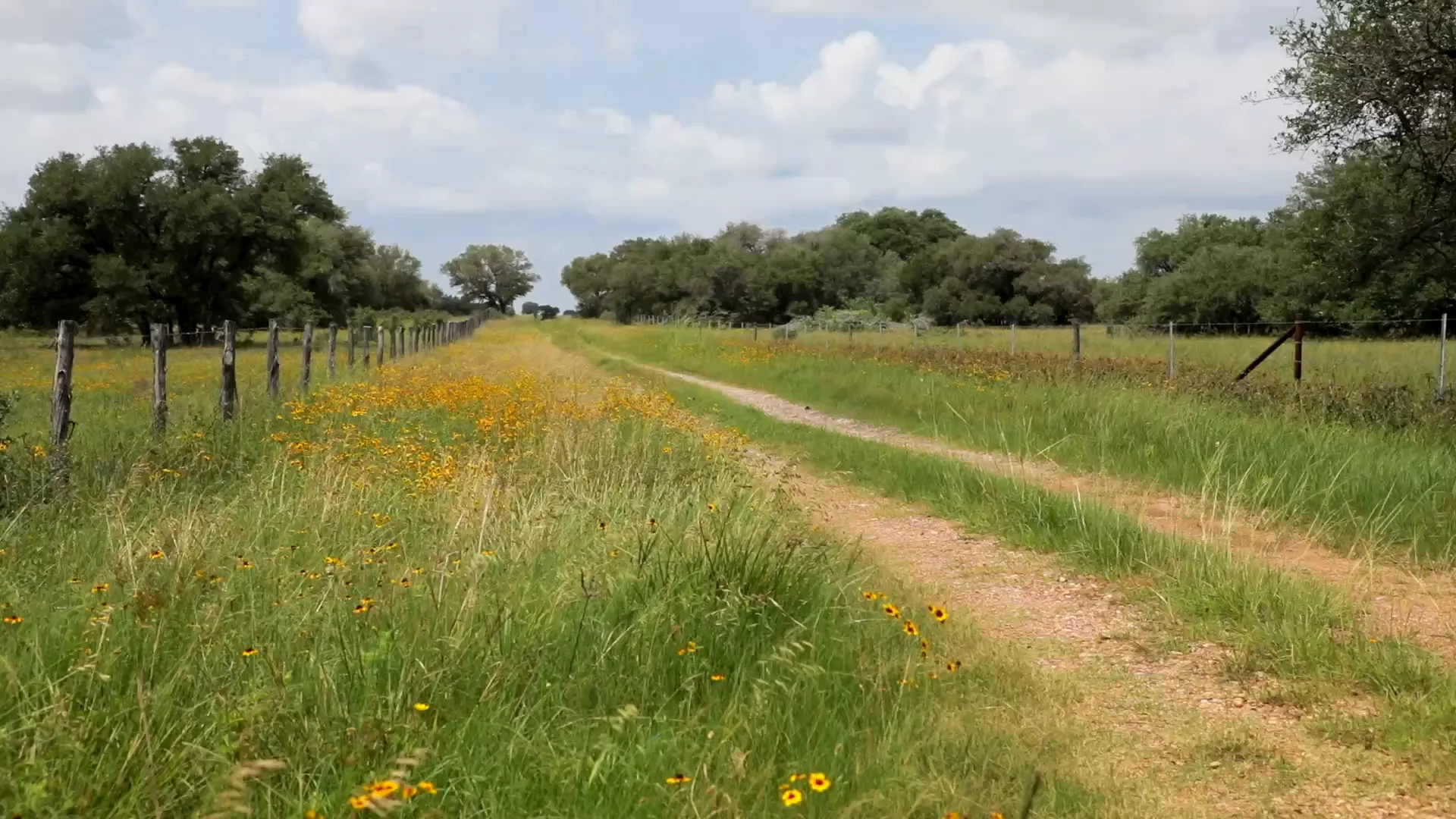 Cody Maxwell - Wings Over Water - Victoria on Vimeo
