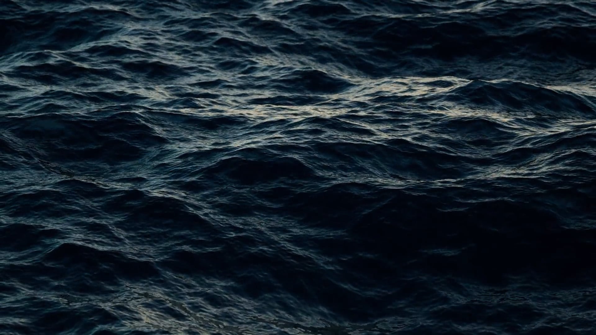 Explore the wonders of Quaco Museum and Library