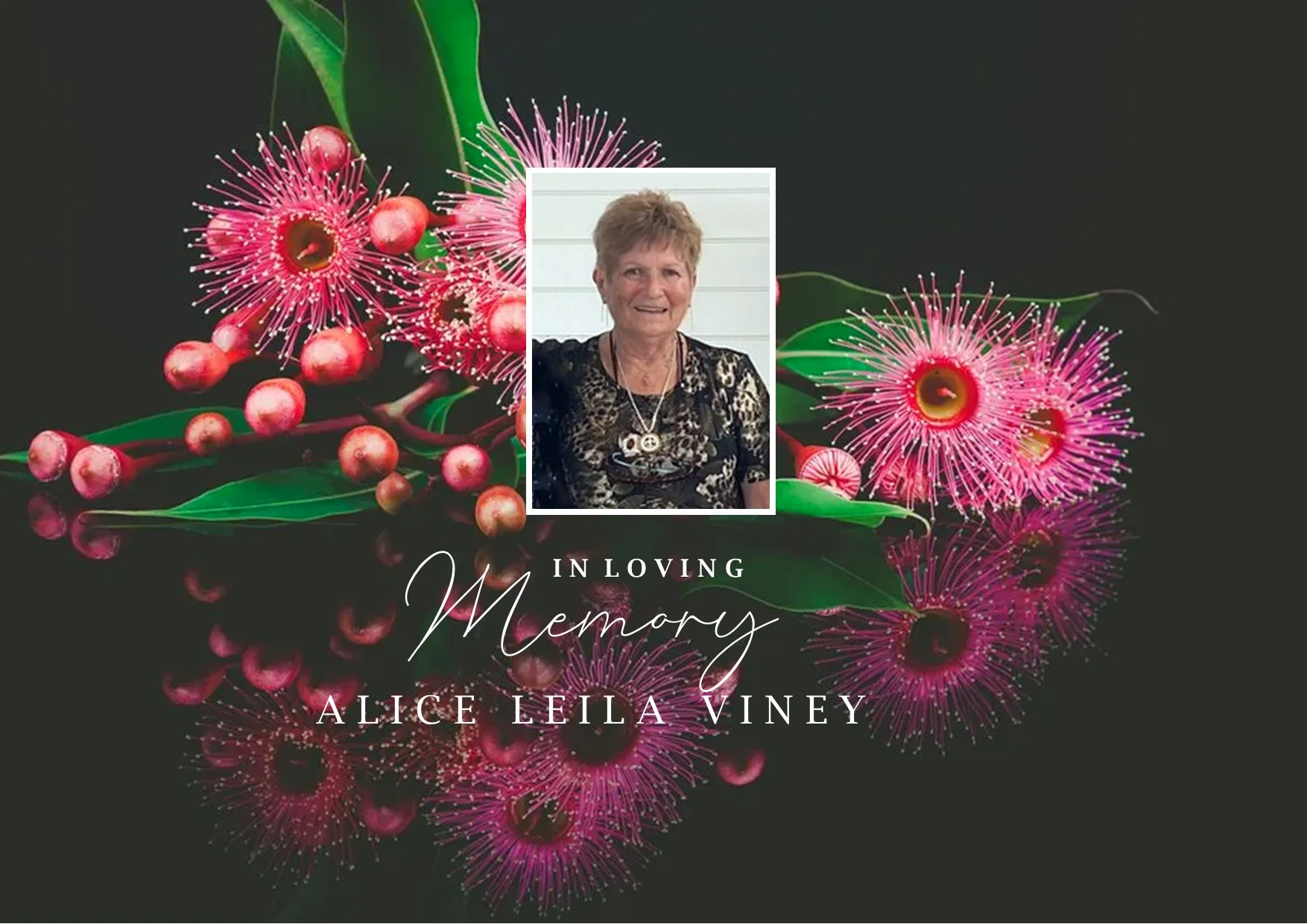 Alice Viney - Photo Presentation on Vimeo