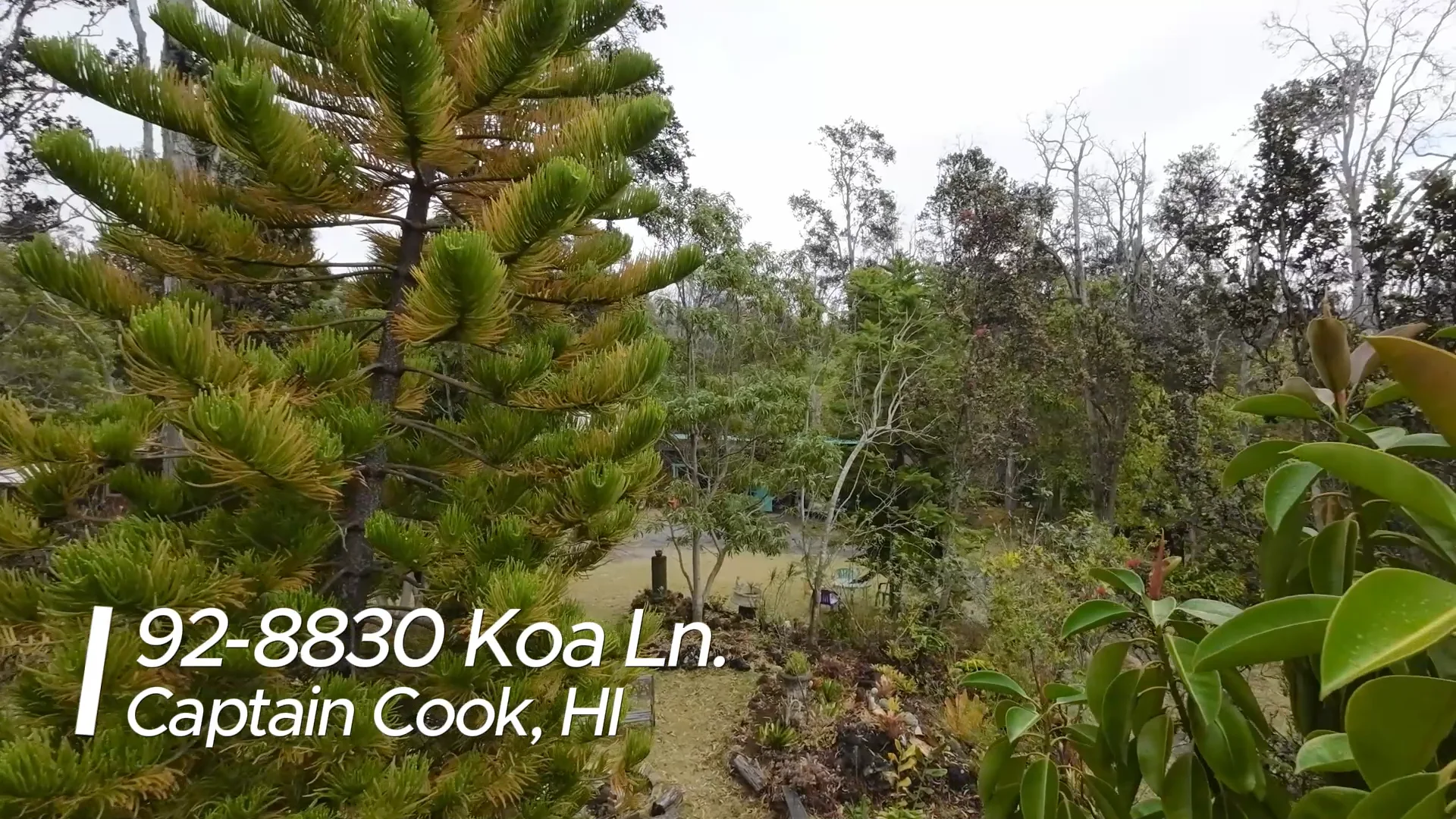 92-8830 Koa Ln Captain Cook, HI