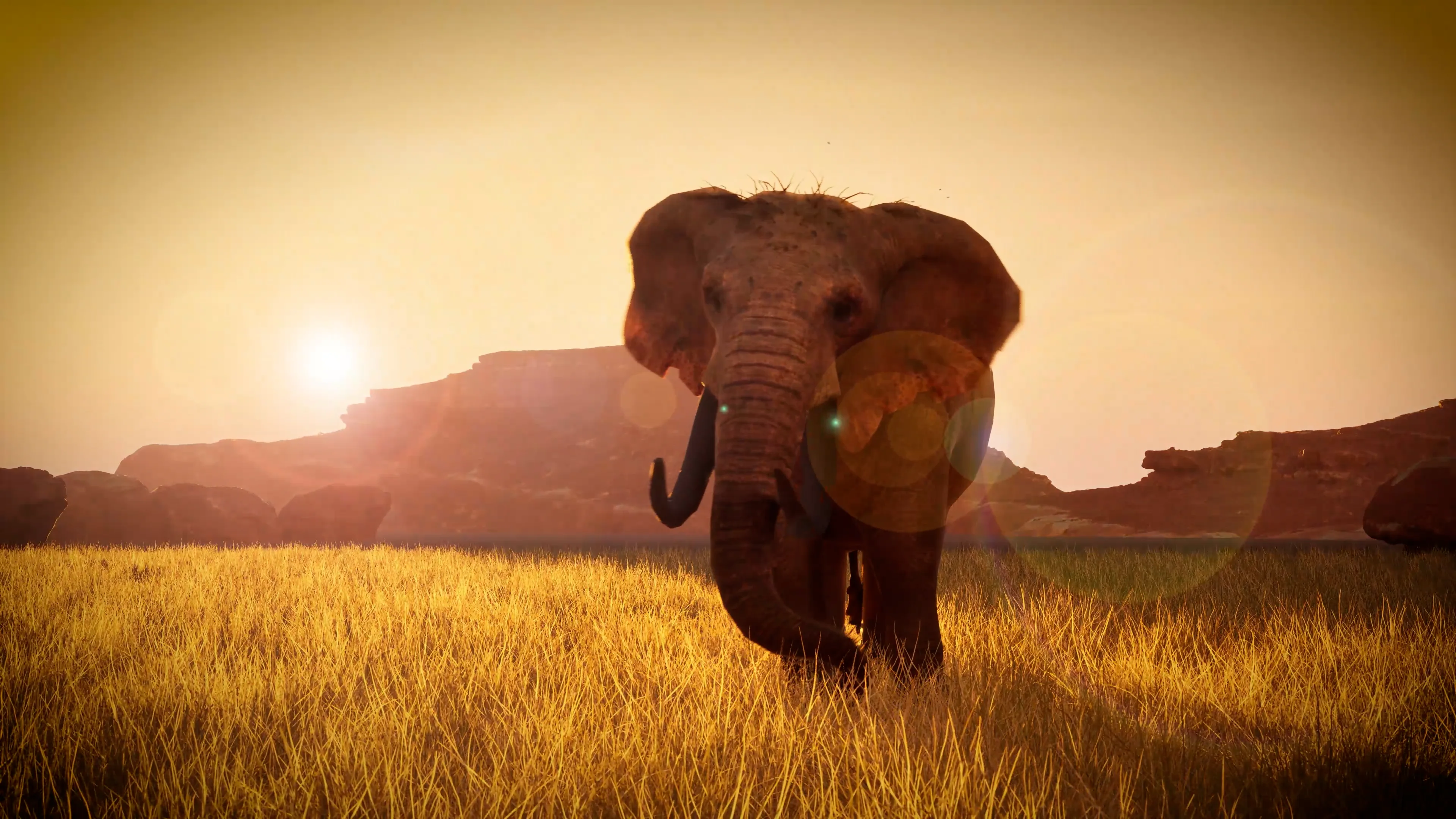 elephant on Vimeo