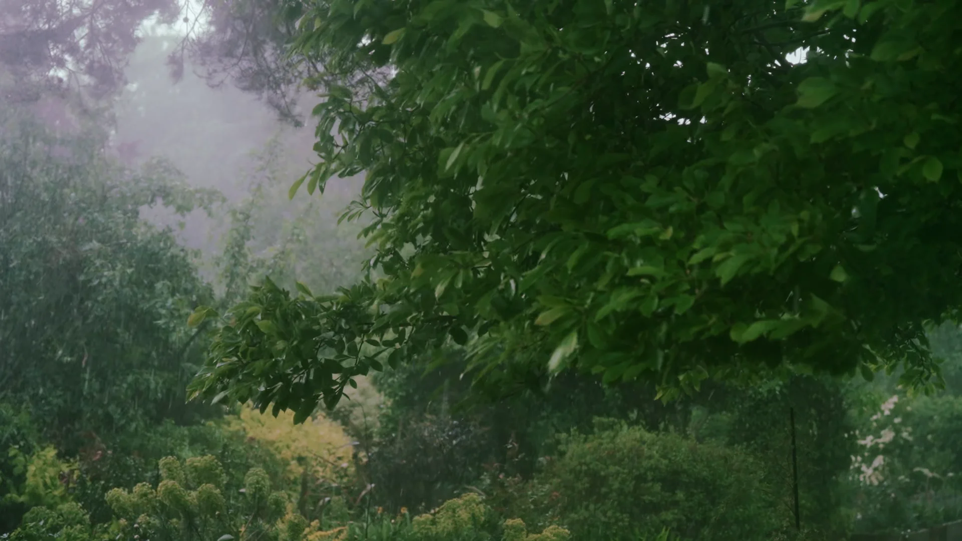 Thunder Storm on Vimeo