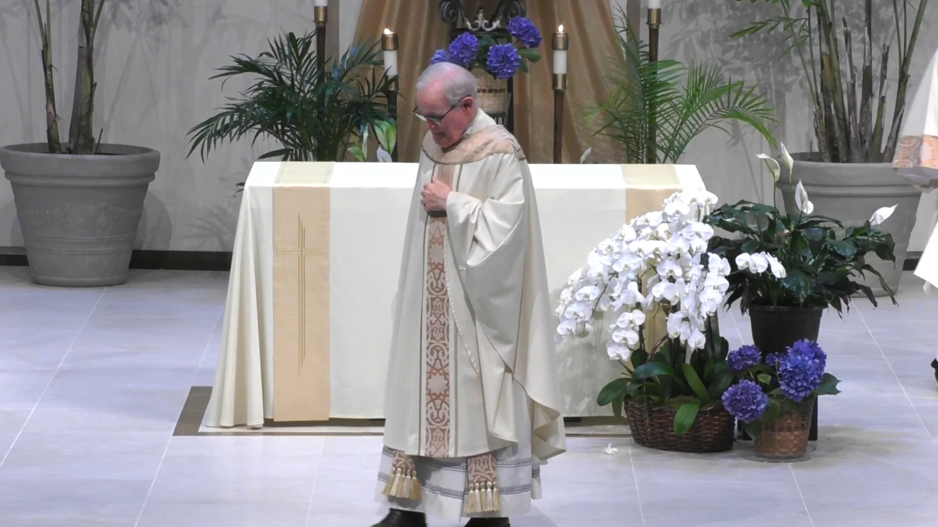 Fr. Walsh: The Ascension of the Lord