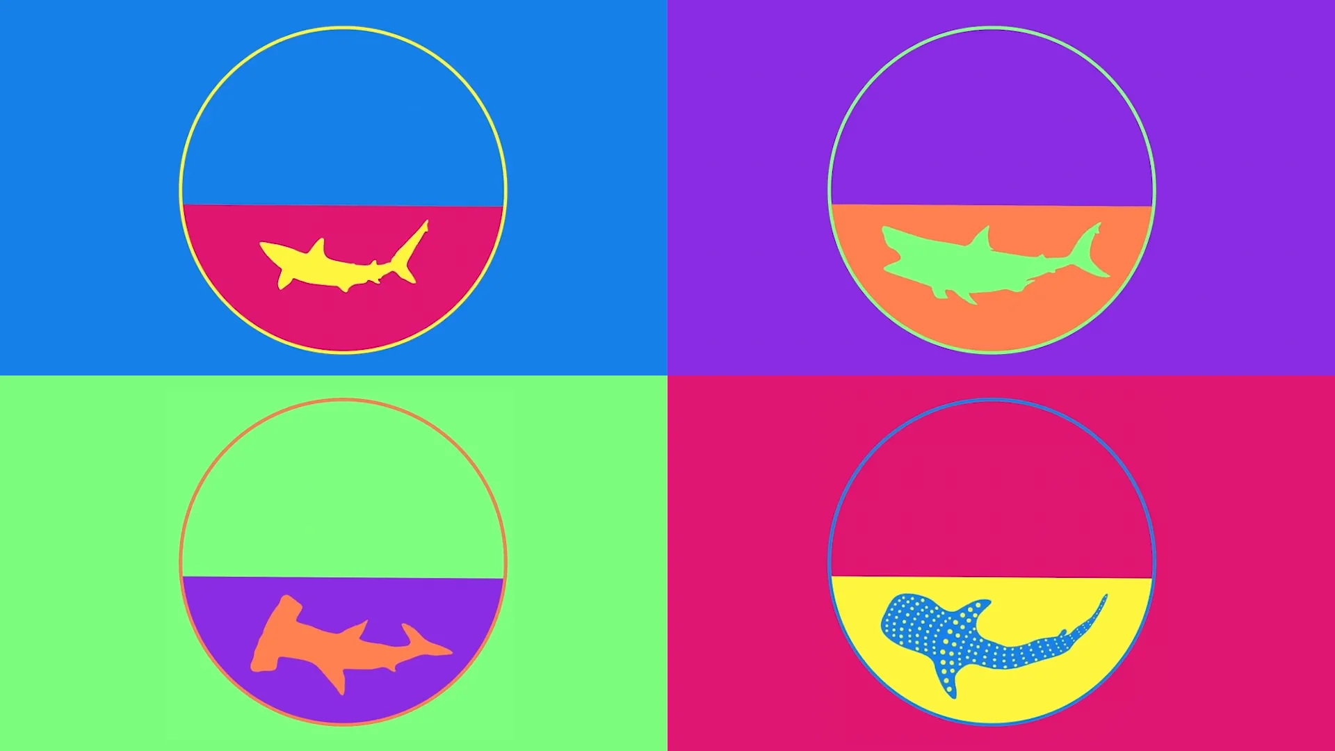 Warhol Sharks - Animation Loop on Vimeo