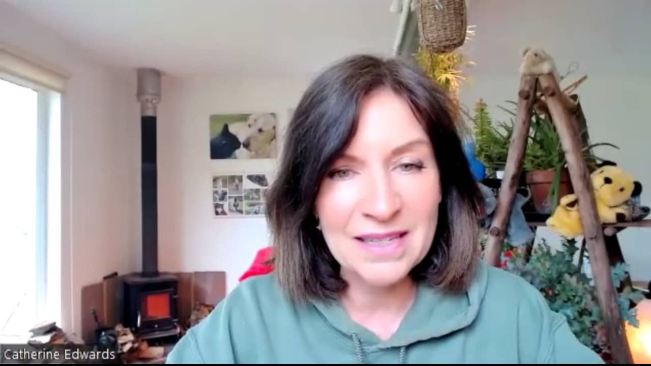 Catherine_EDWARDS_Preview on Vimeo