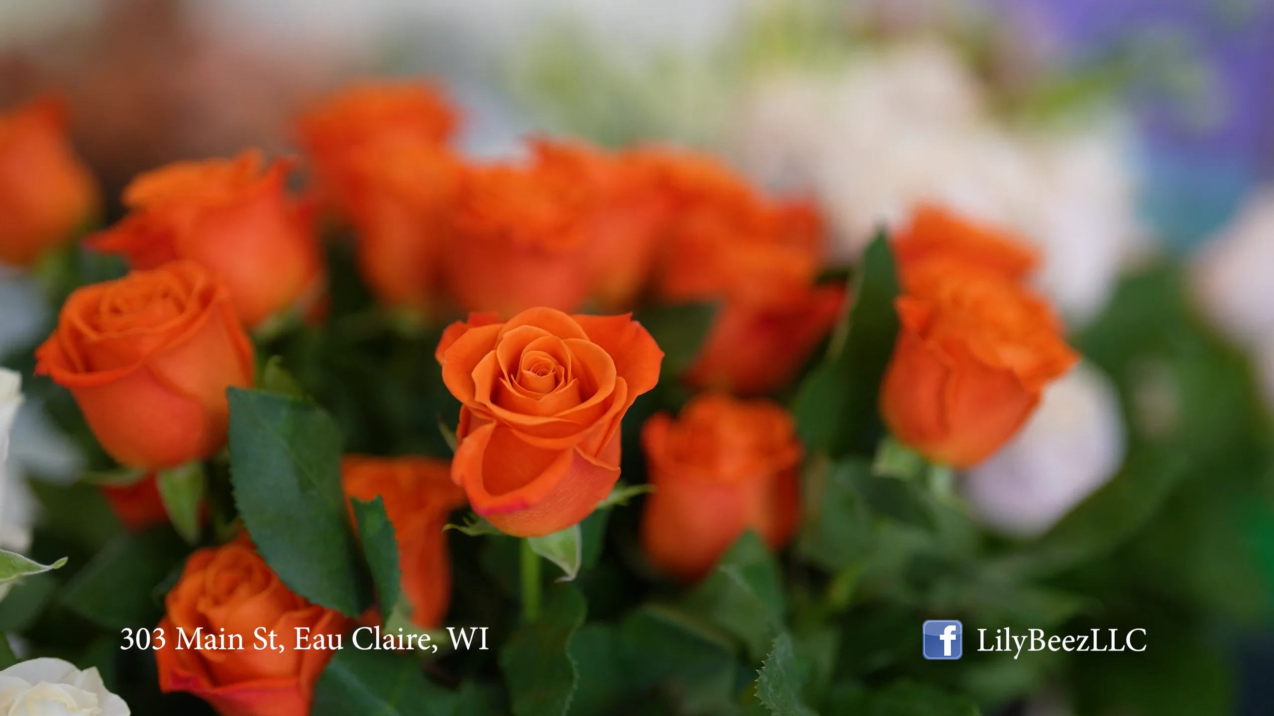 Lily Beez, LLC - Grand Opening on Vimeo