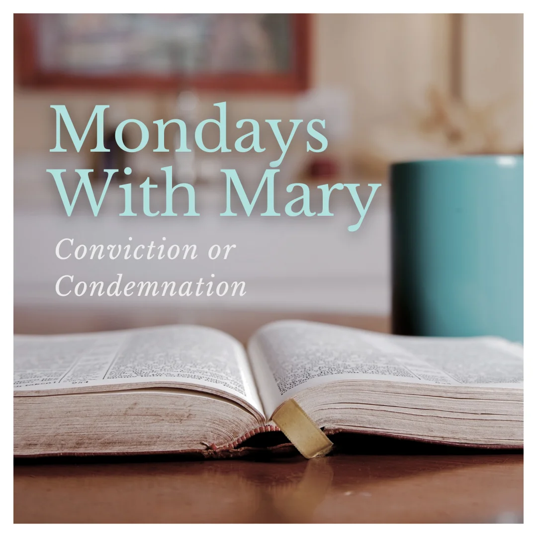 Mondays with Mary on Vimeo