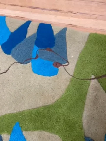 Bon Ton Rug Acrylic Paint Stain Removal on Vimeo