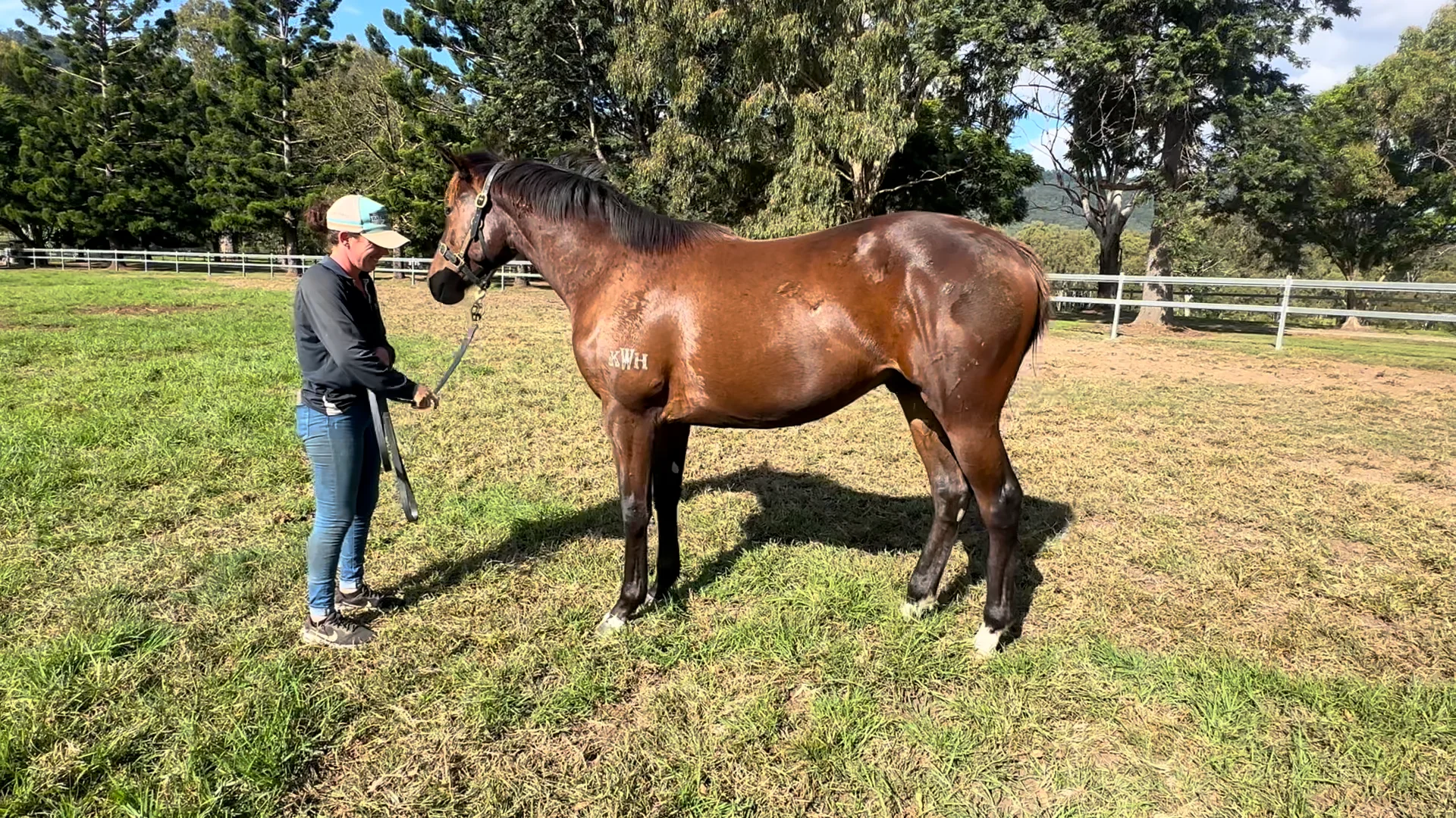 Typhoon Tess x wootten Bassett on Vimeo