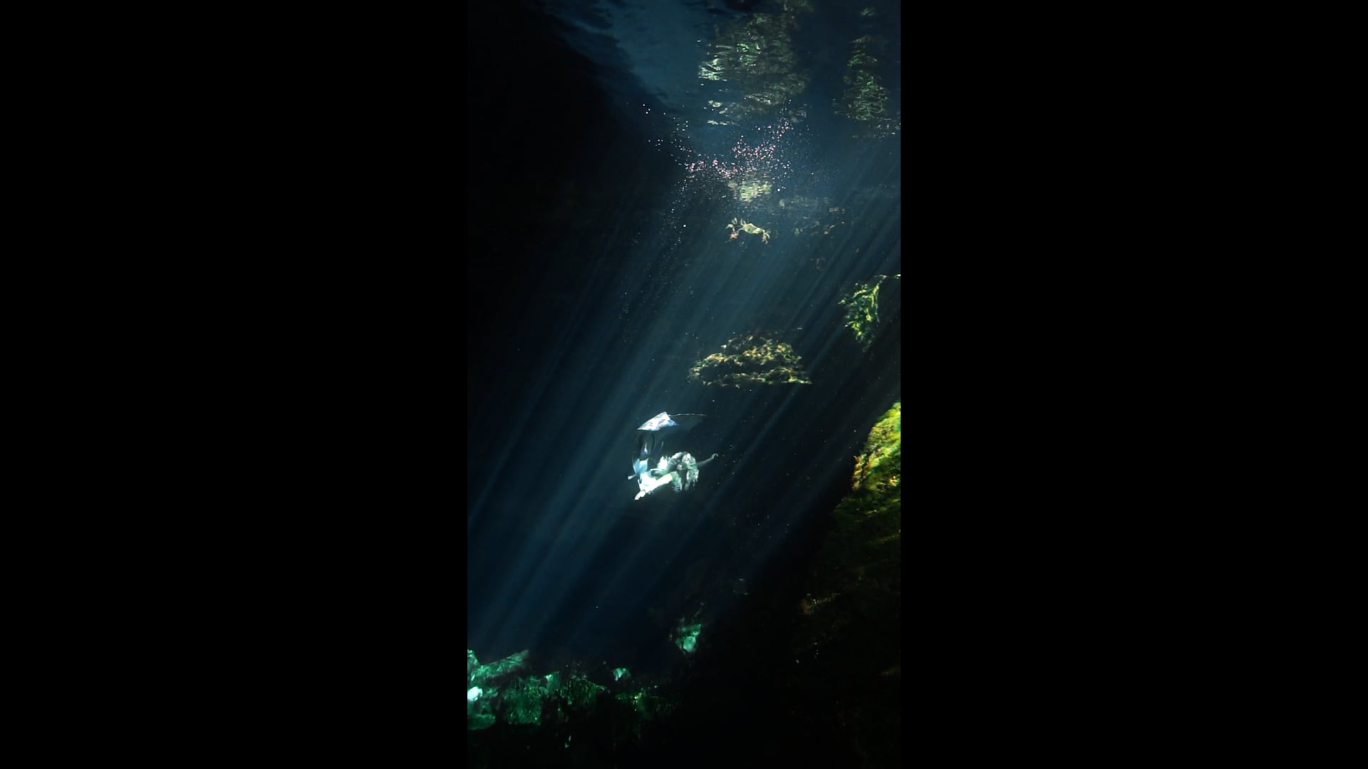 Hire Heather Mermaid - Mermaid Entertainment in Fort Lauderdale, FL ...