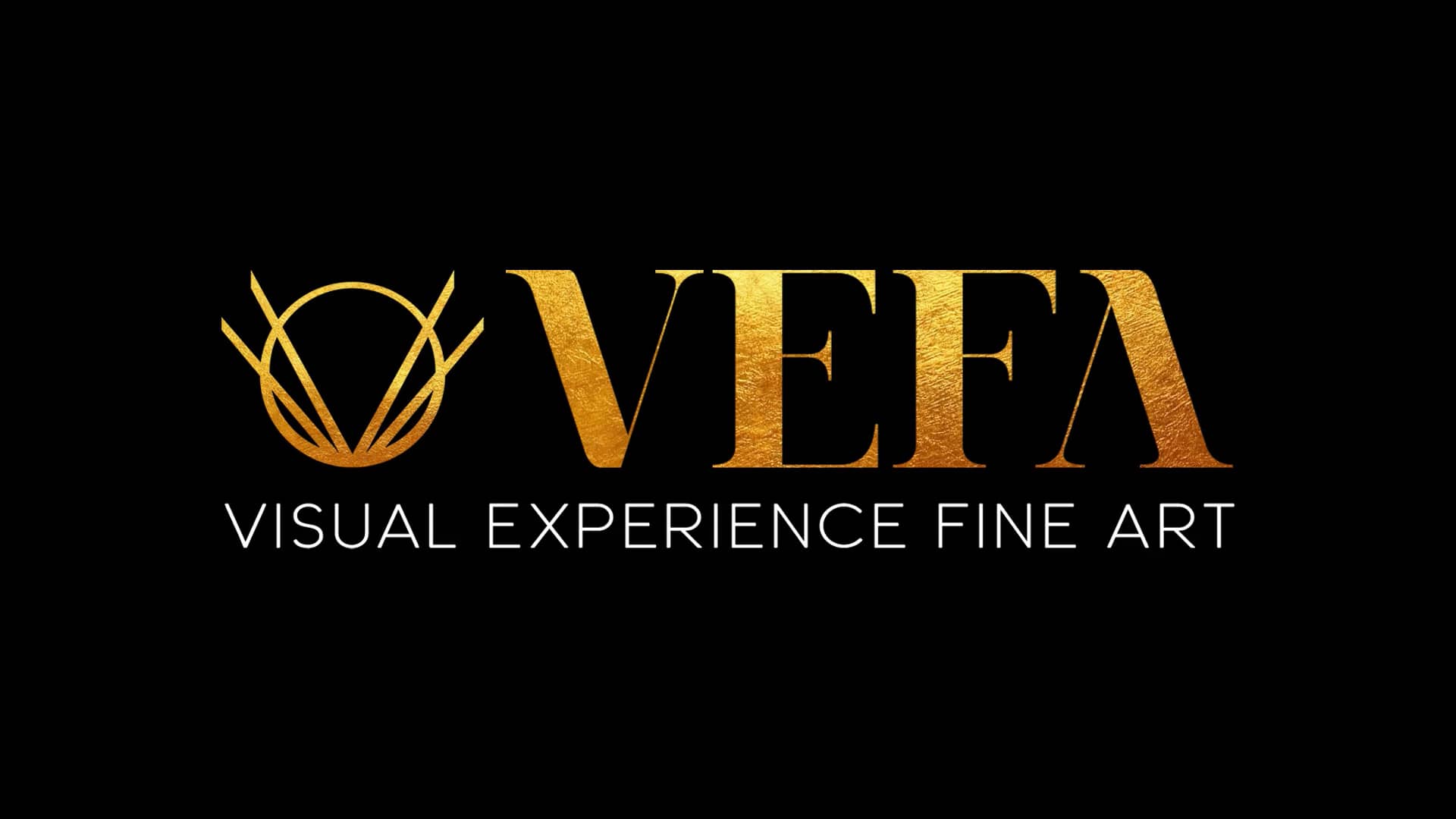 VEFA Gallery Walkthrough on Vimeo