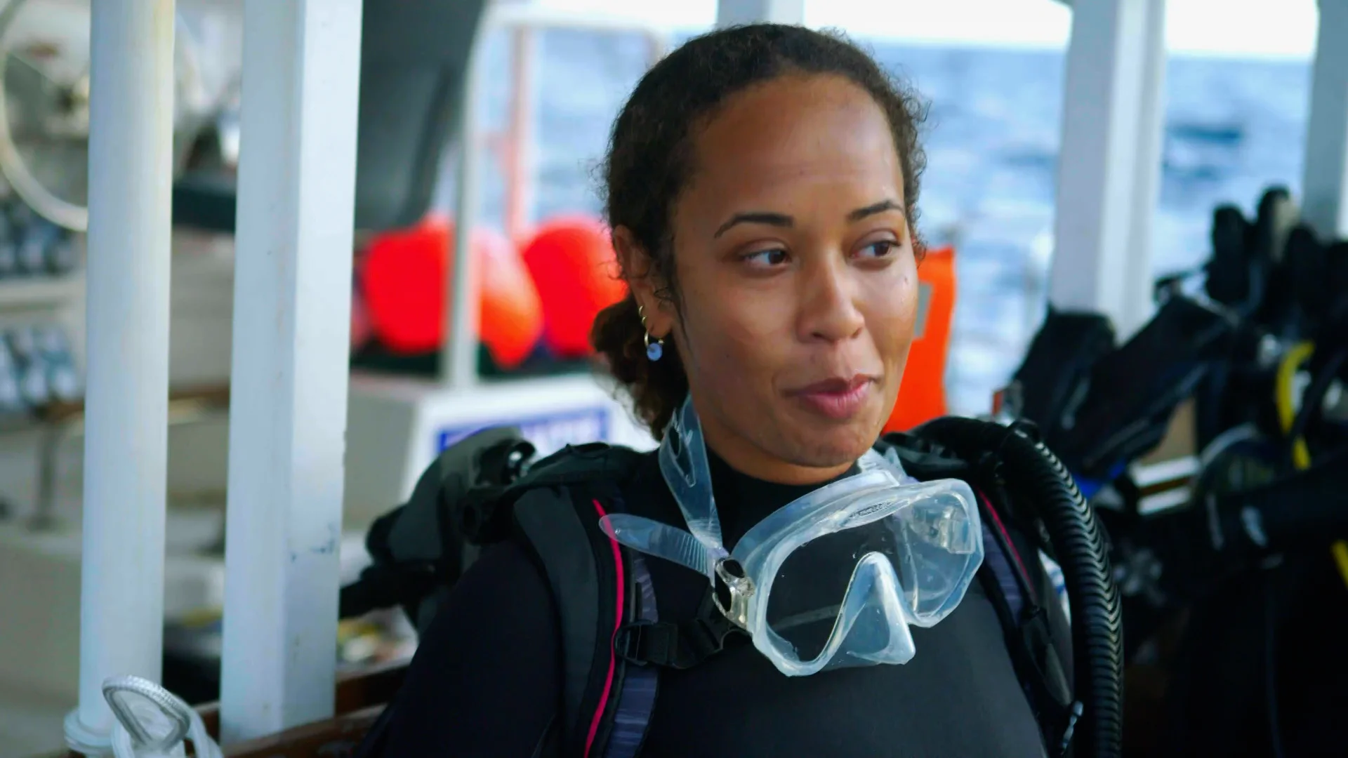 WBD Sharkmania - Sharkmania Shark Week Trailer on Vimeo