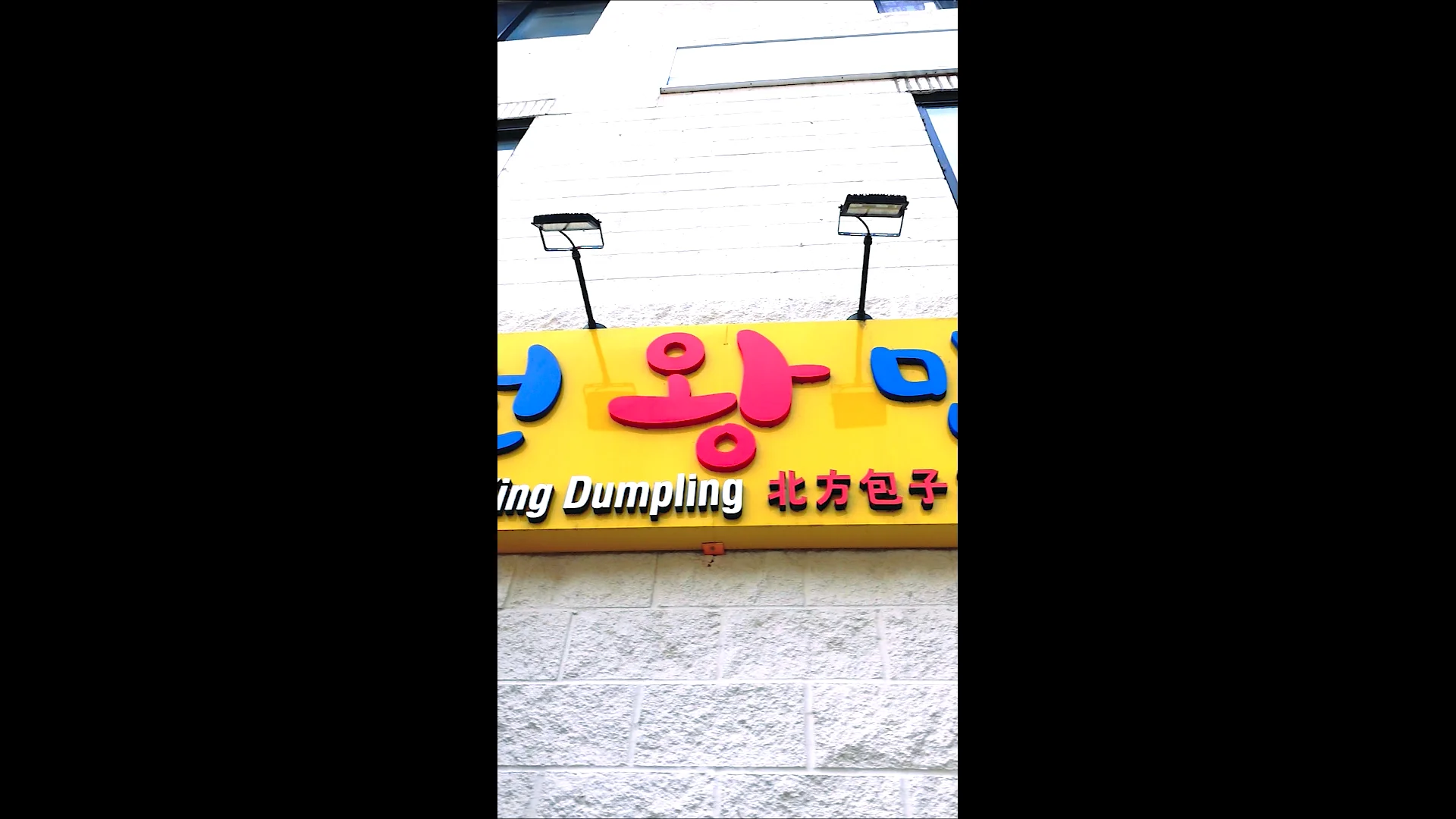 AAF_Northern King Dumplings_shorts