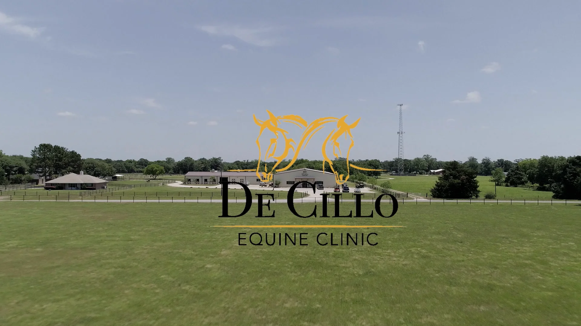 CRC - De Cillo Equine Clinic (1) on Vimeo