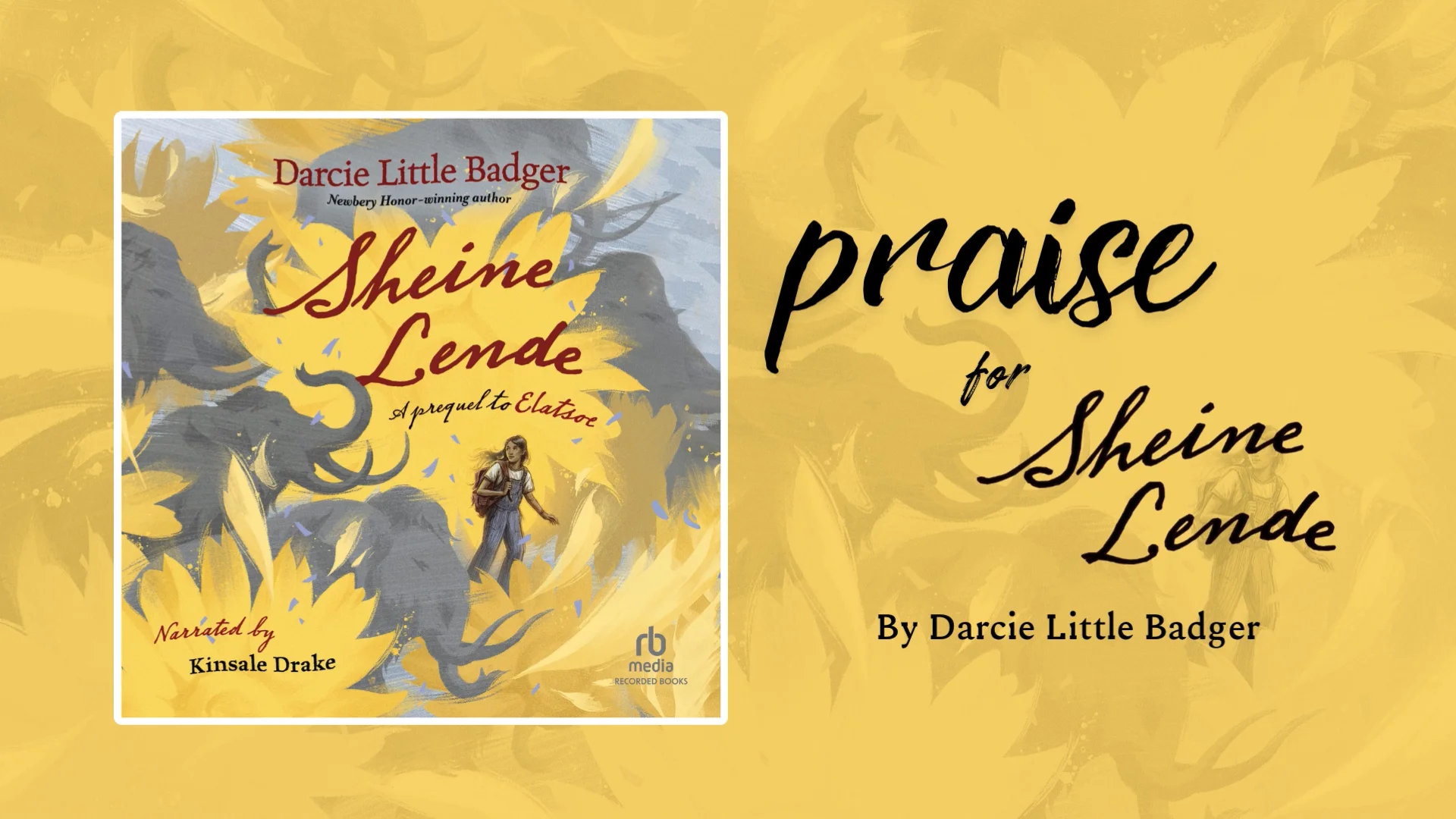 Praise for Sheine Lende by Darcie Little Badger on Vimeo