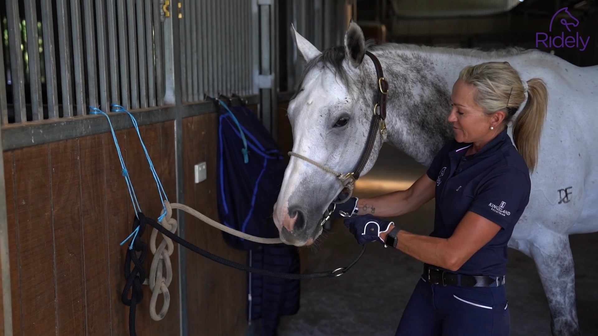 How to Tie Up Your Horse Safely | Ridely
