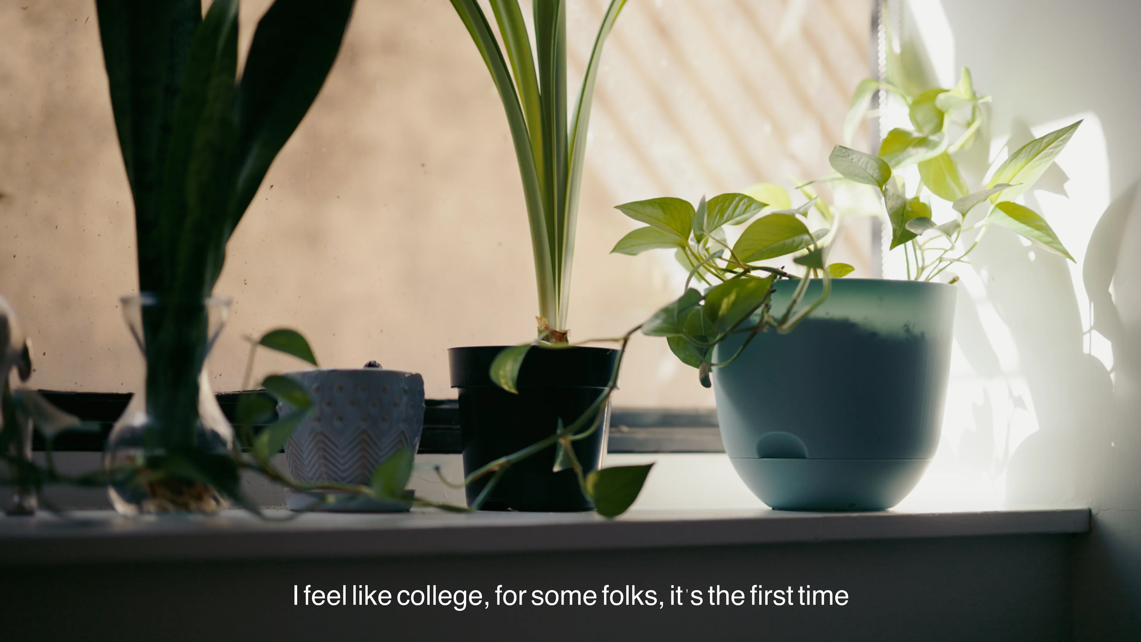 Get to Know Boston University Student Health Services