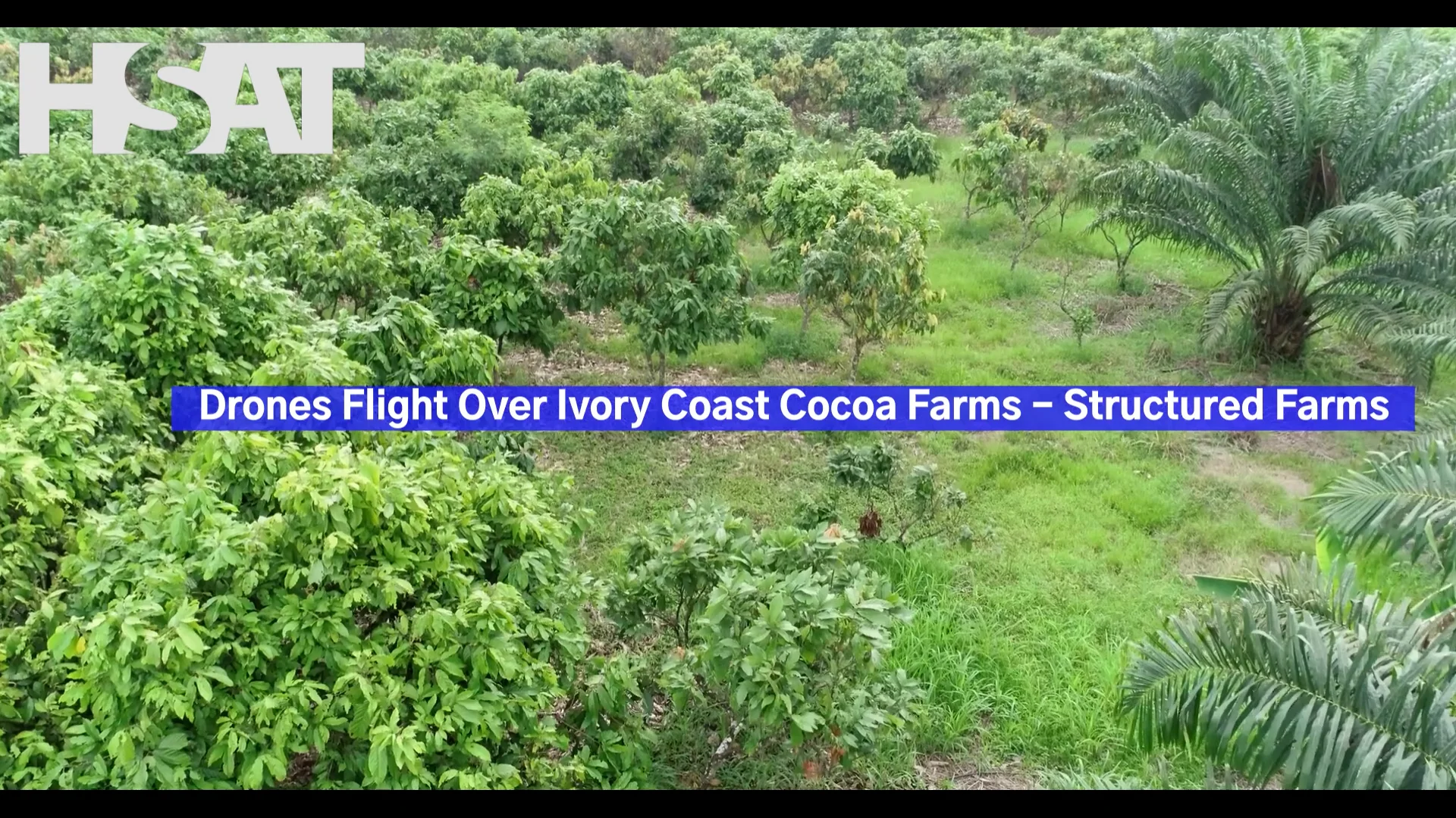 Ivory Coast - Cocoa Farms - Drones