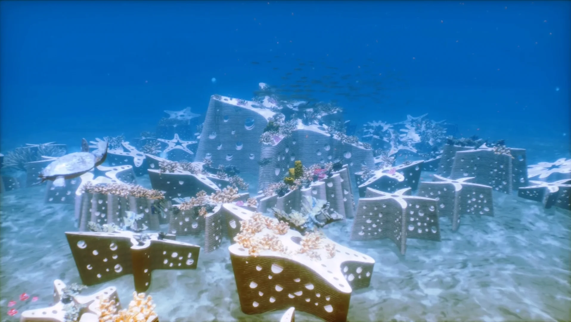 Miami Reef Star on Vimeo