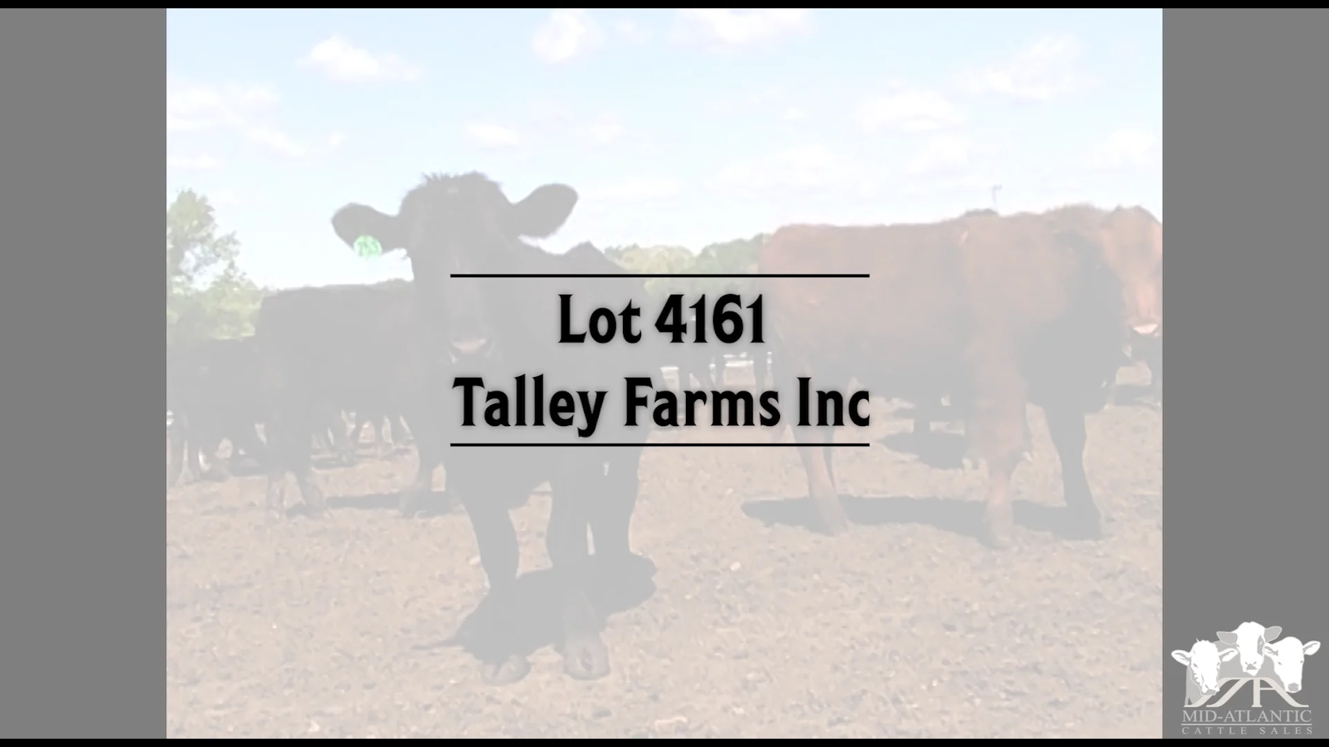 4161-Talley Farms Inc