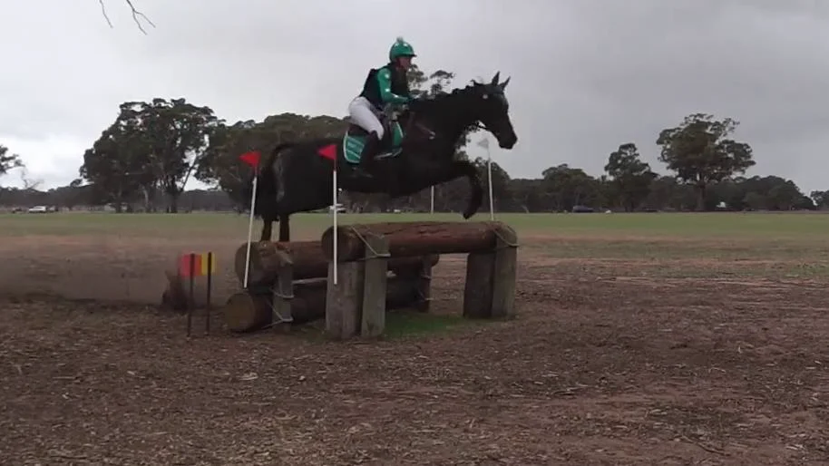 Tara Anderson riding Sandarstar Dami 257 CCI2 Naracoorte EA Horse ...