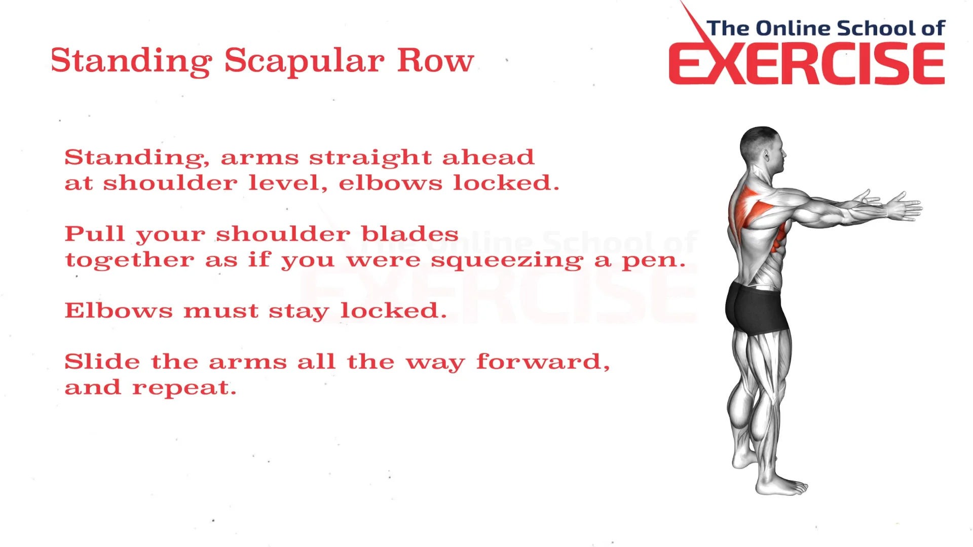 Standing Scapular Row on Vimeo