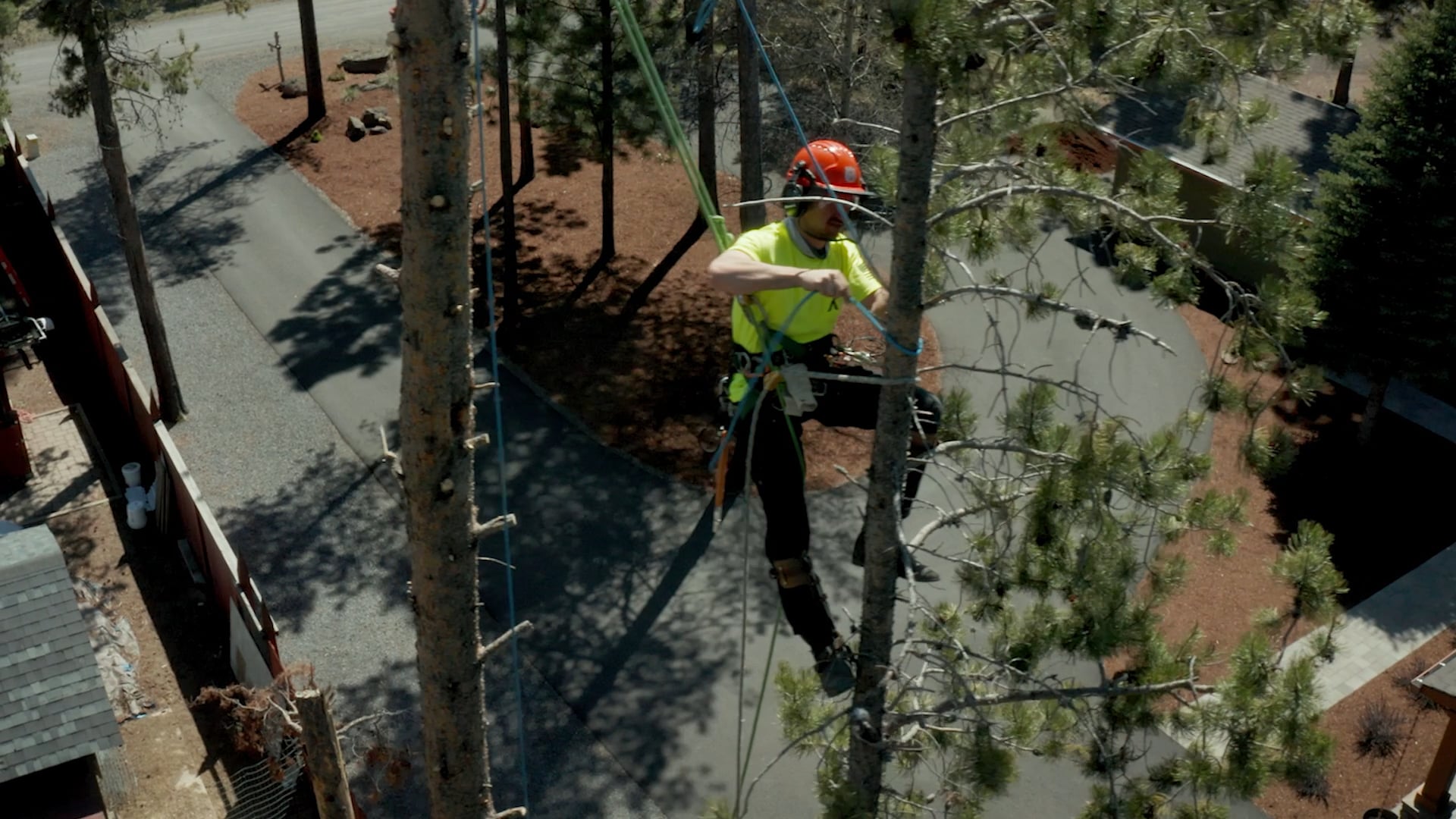 Tree Service in Bend, OR & Central Oregon | Osprey Arbor Works