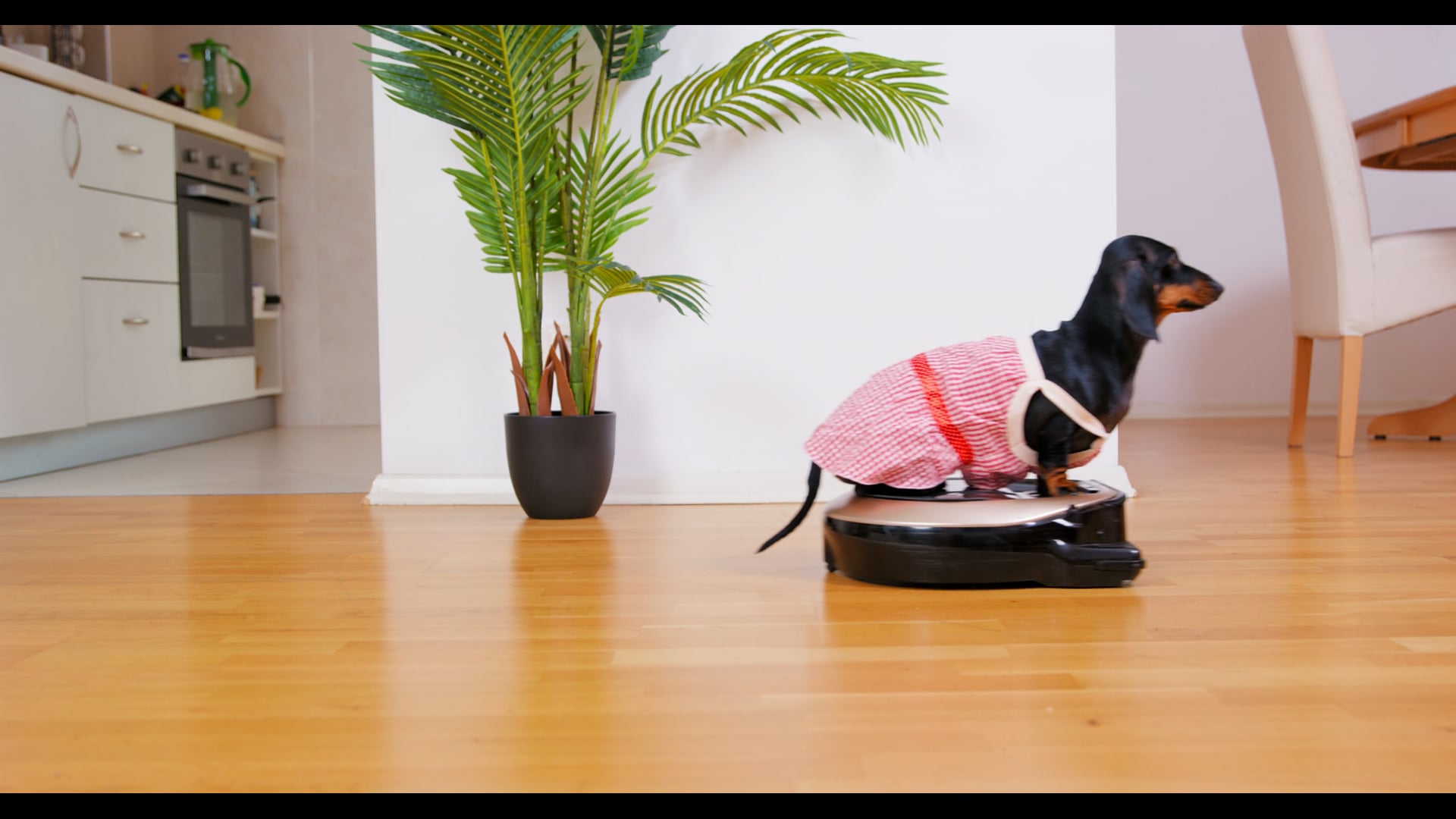 Professional Cleaning Services