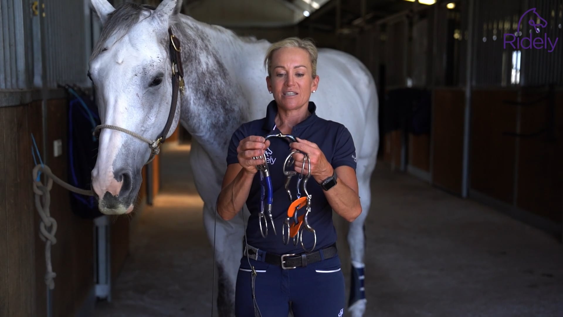 Choosing Tack for Your Off the Track Horse | Ridely