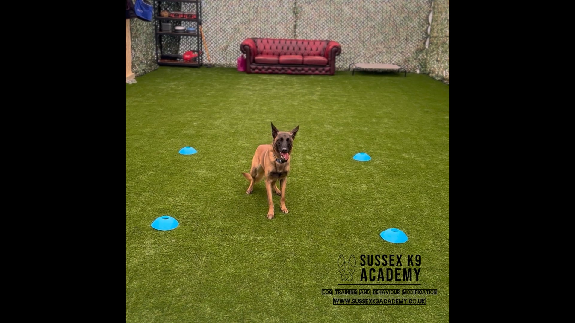 HOME [sussexk9academy.co.uk]