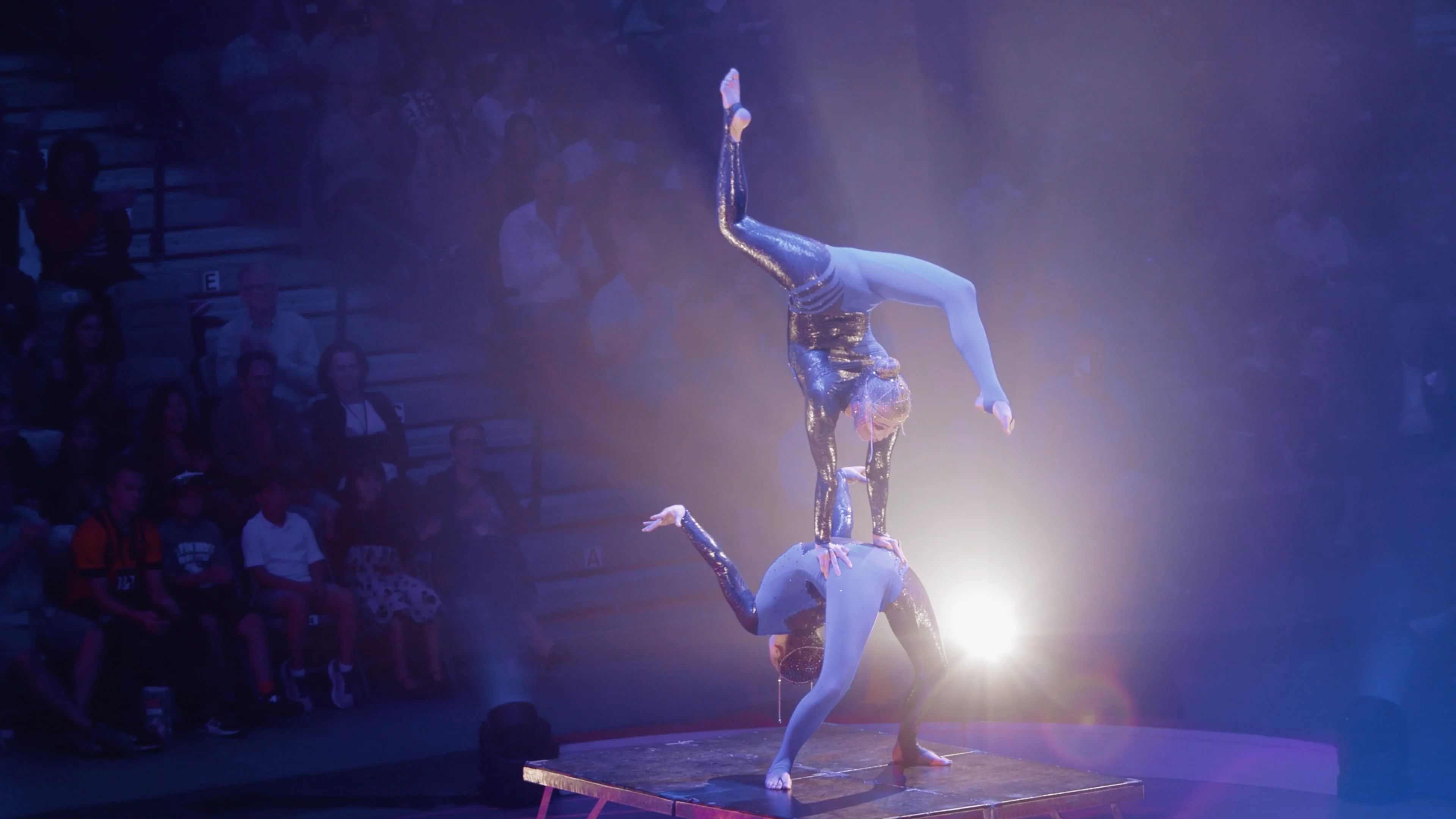 Contortion Sisters Contortion V2