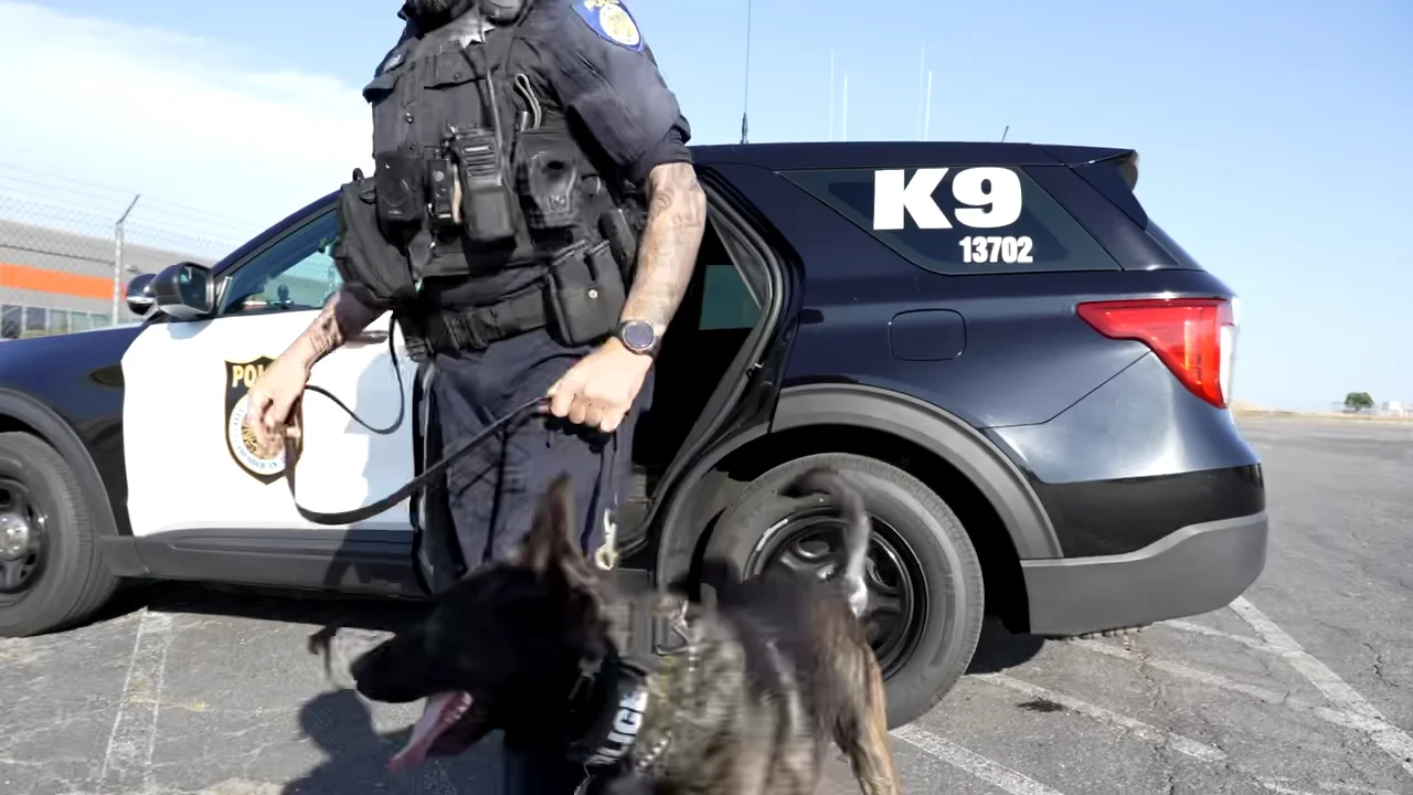 Run With The Cops 2024 promo