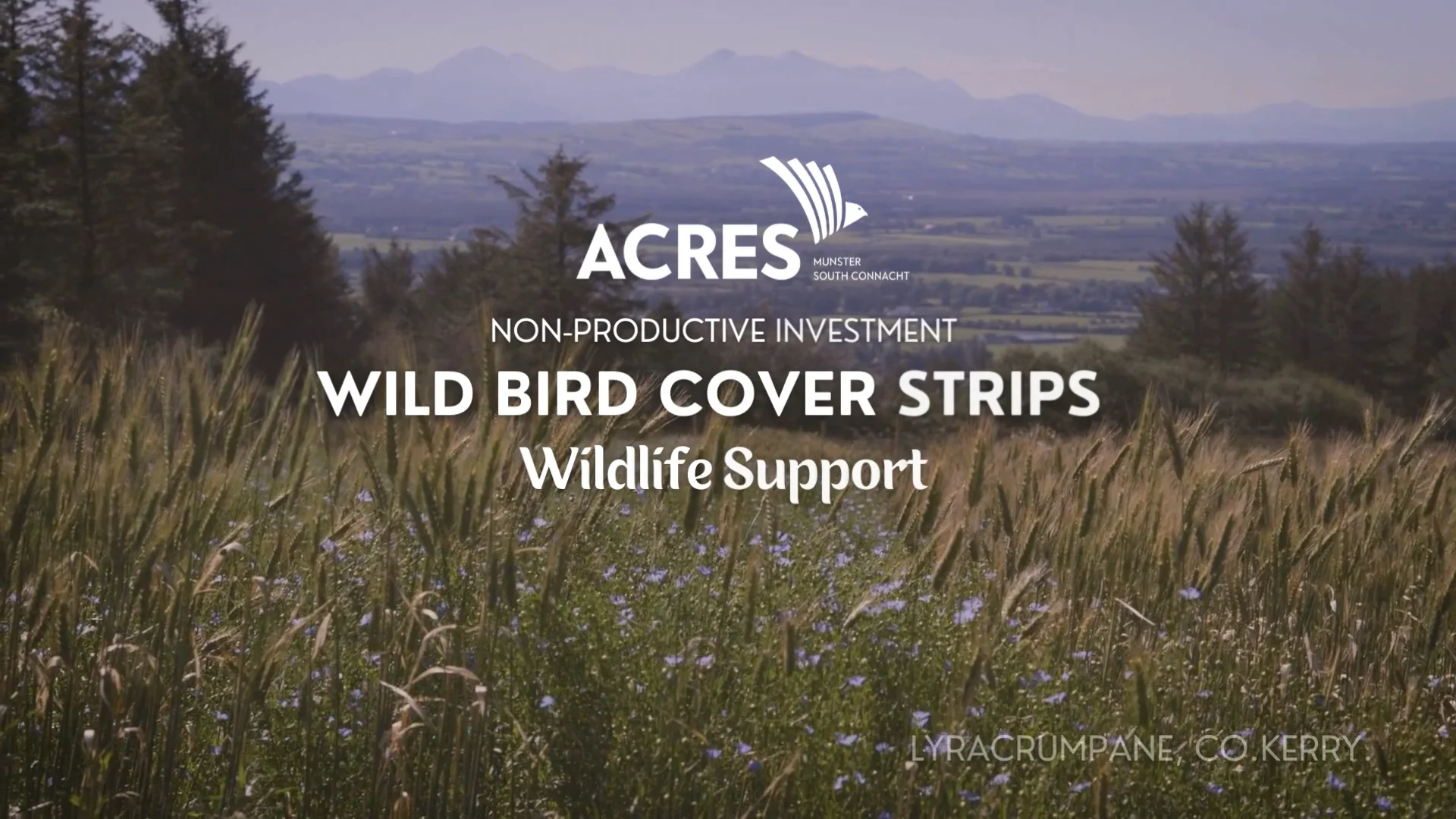 AMSC Wild Bird Cover Strips on Vimeo