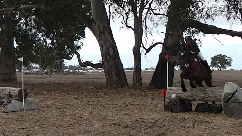 Natalie Mitchell riding Alpha Auriga 55 EvA95 Naracoorte EA Horse ...