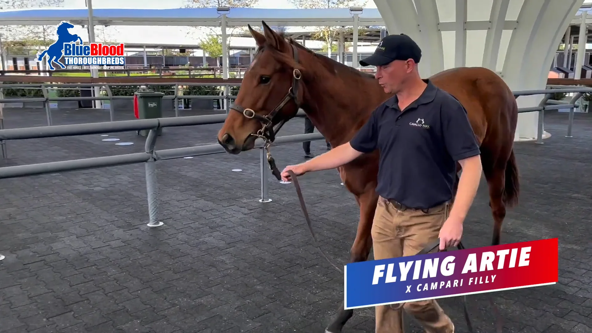 Flying Artie x Campari Filly Open Day on Vimeo