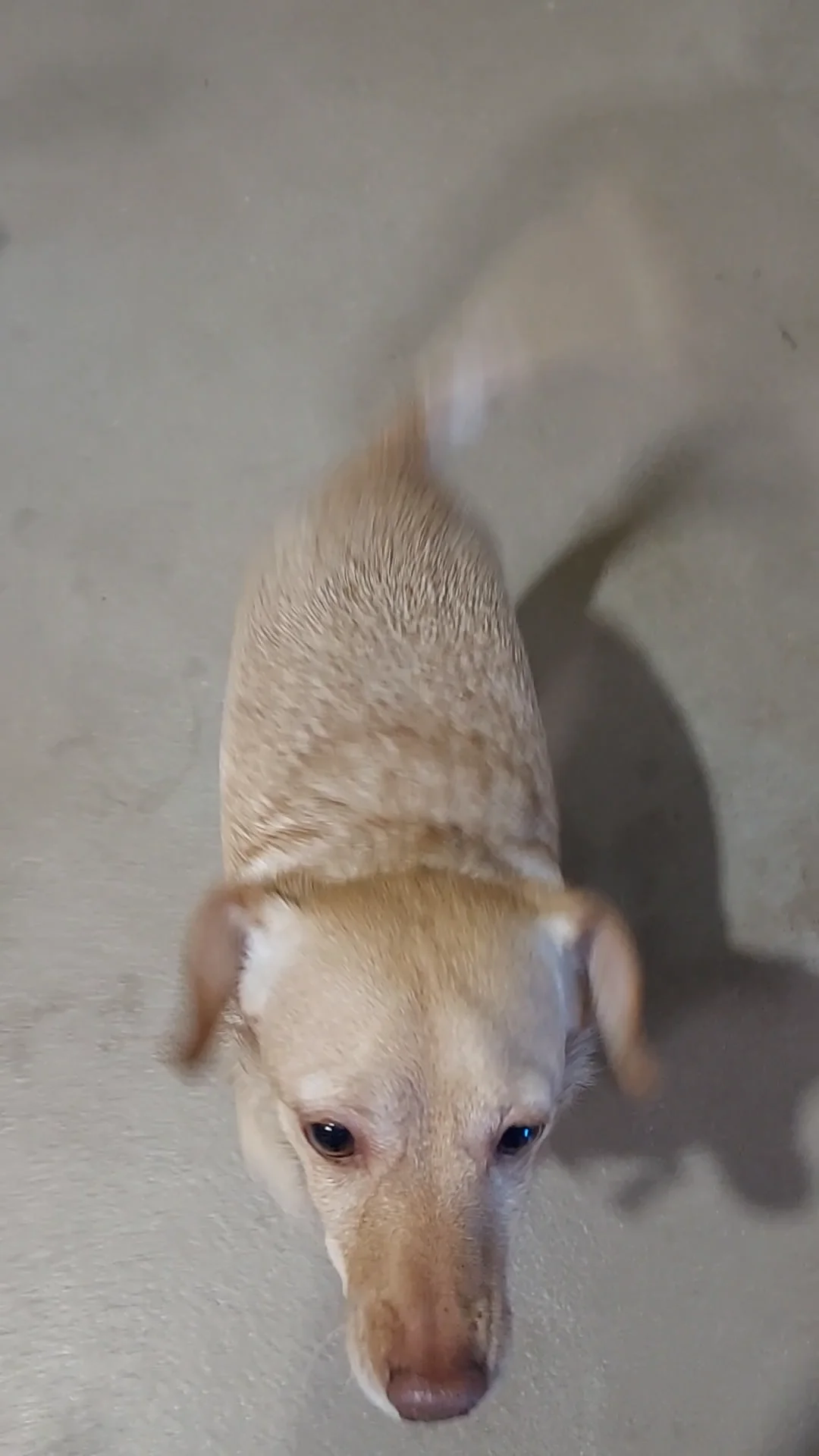 Max on Vimeo