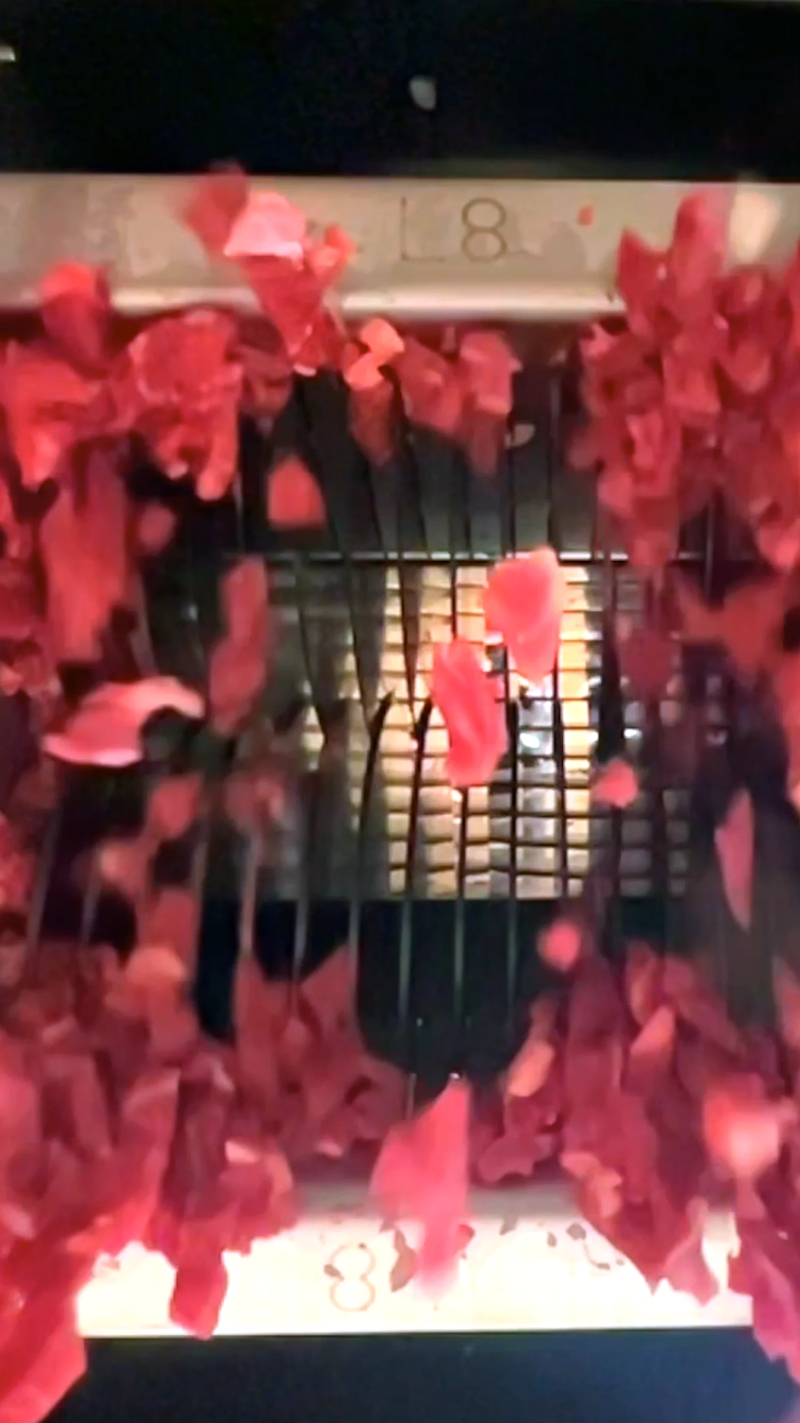 Double Godzilla Raining Cubes on Vimeo