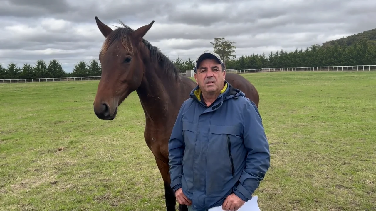 Fierce Impact x Summah's Touch