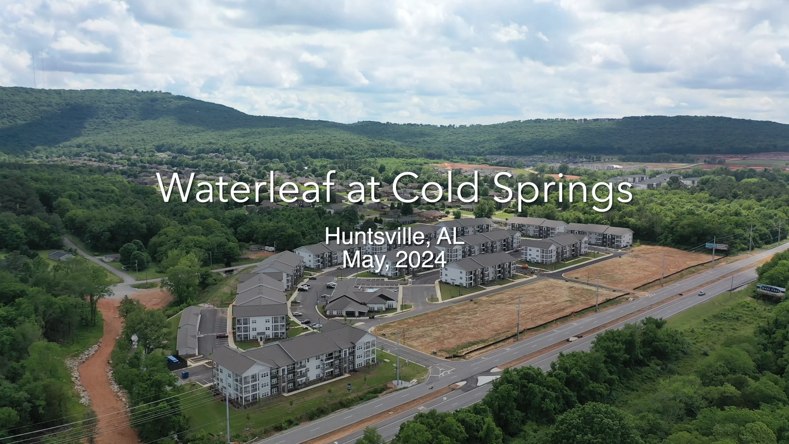 Waterleaf At Cold Water