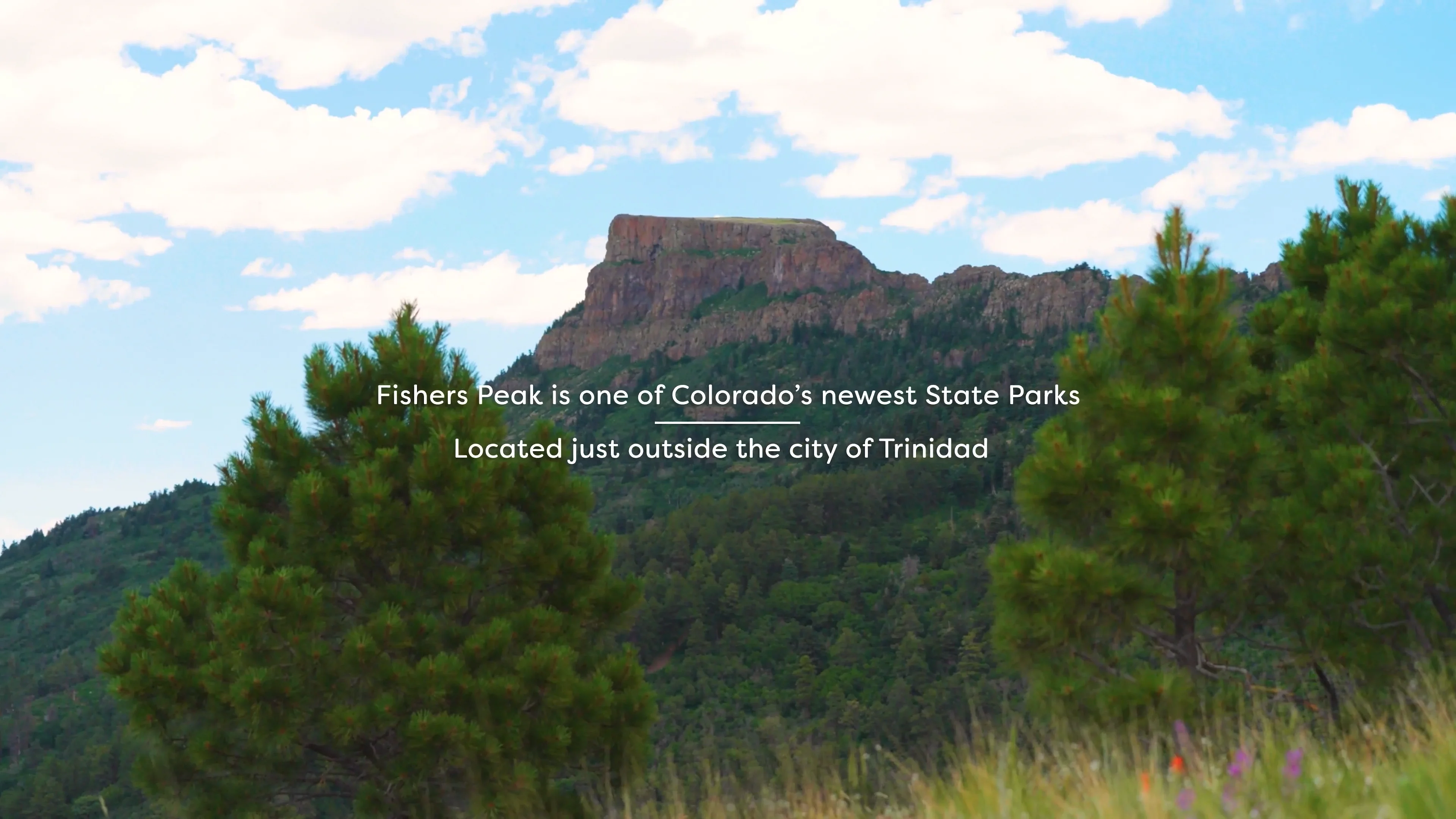 FPSP Tribal Engagement - "Beyond Consultation"