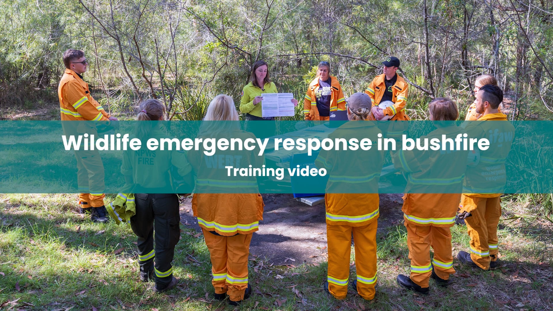 Wildlife emergency response in bushfire - Training video