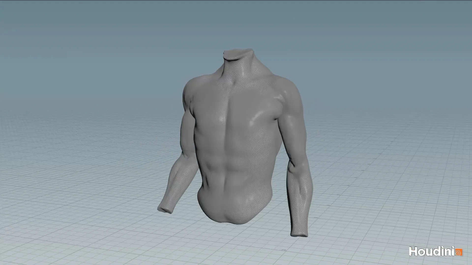 Houdini Muscle Tissue Demo