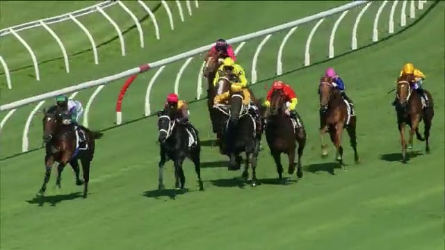 Alpine Edge - Stallion | Breednet