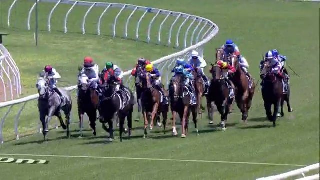 Alpine Edge - Stallion | Breednet