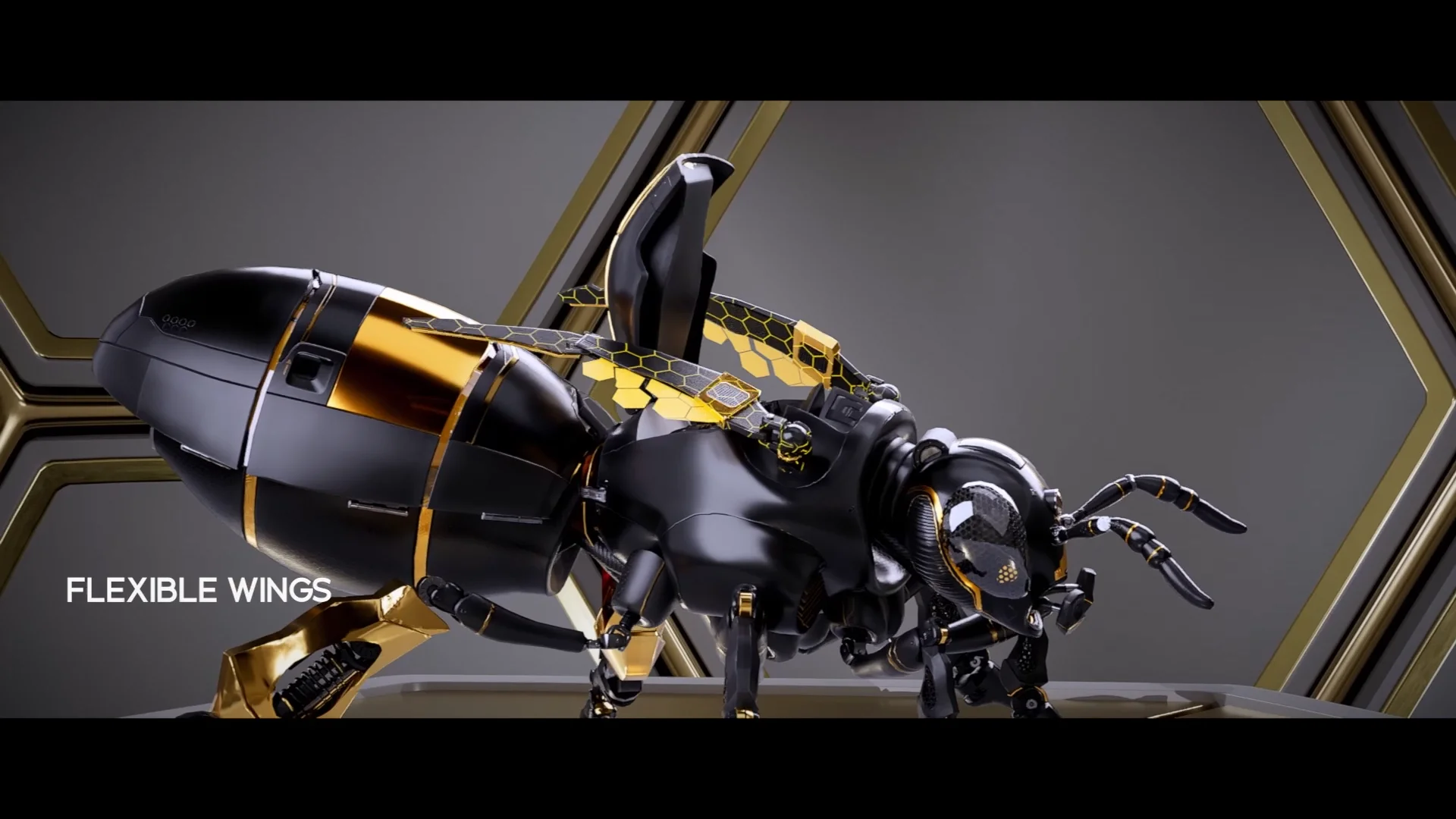 DAE_Amber_2324 on Vimeo