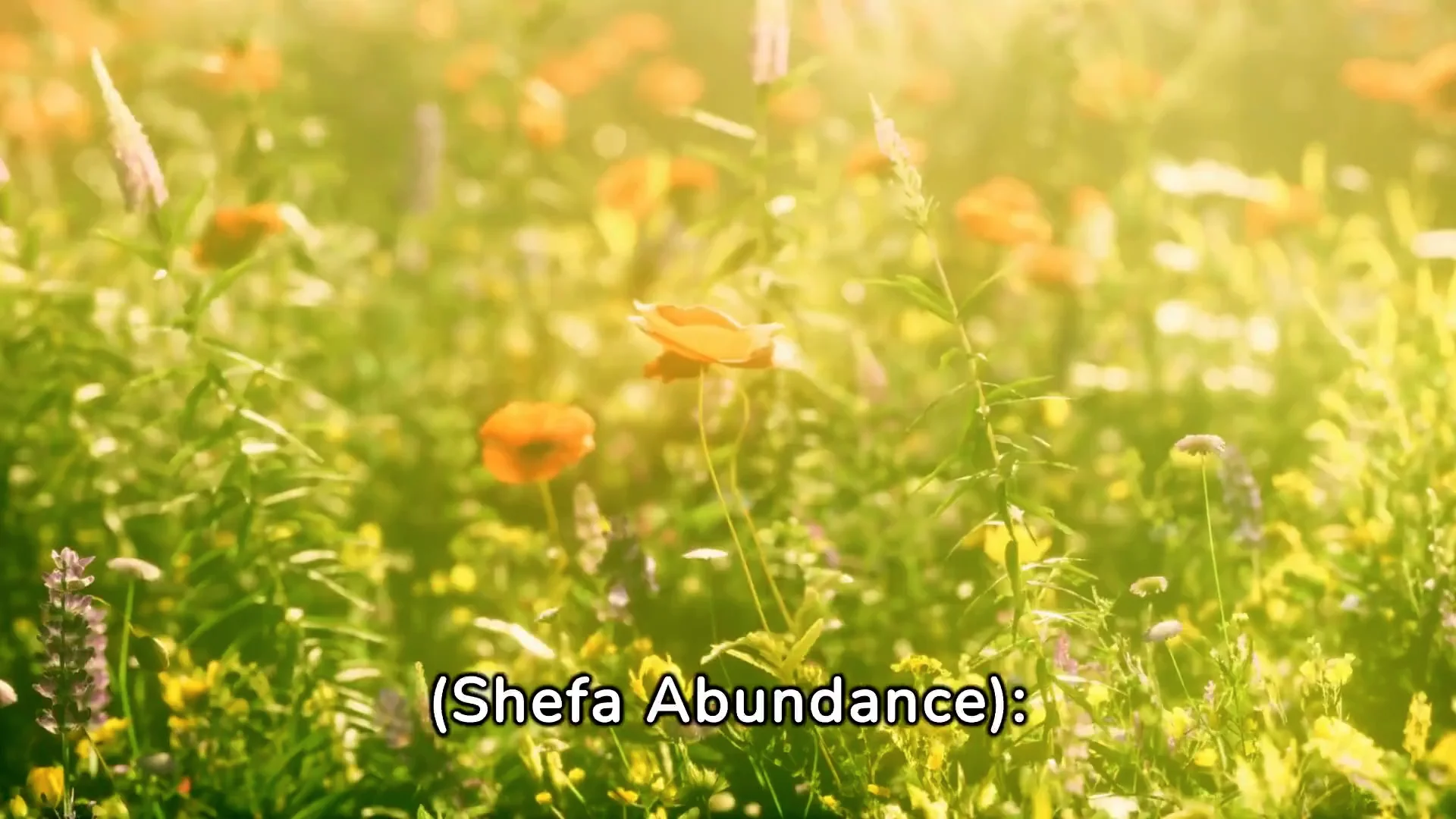 10. Consolidating everything learned and using the knowledge to create a COMPREHENSIVE plan for ...