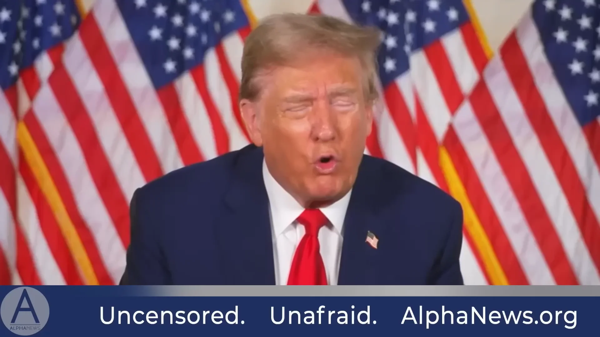 Interview: Liz Collin of Alpha News in Minnesota Interviews Donald ...