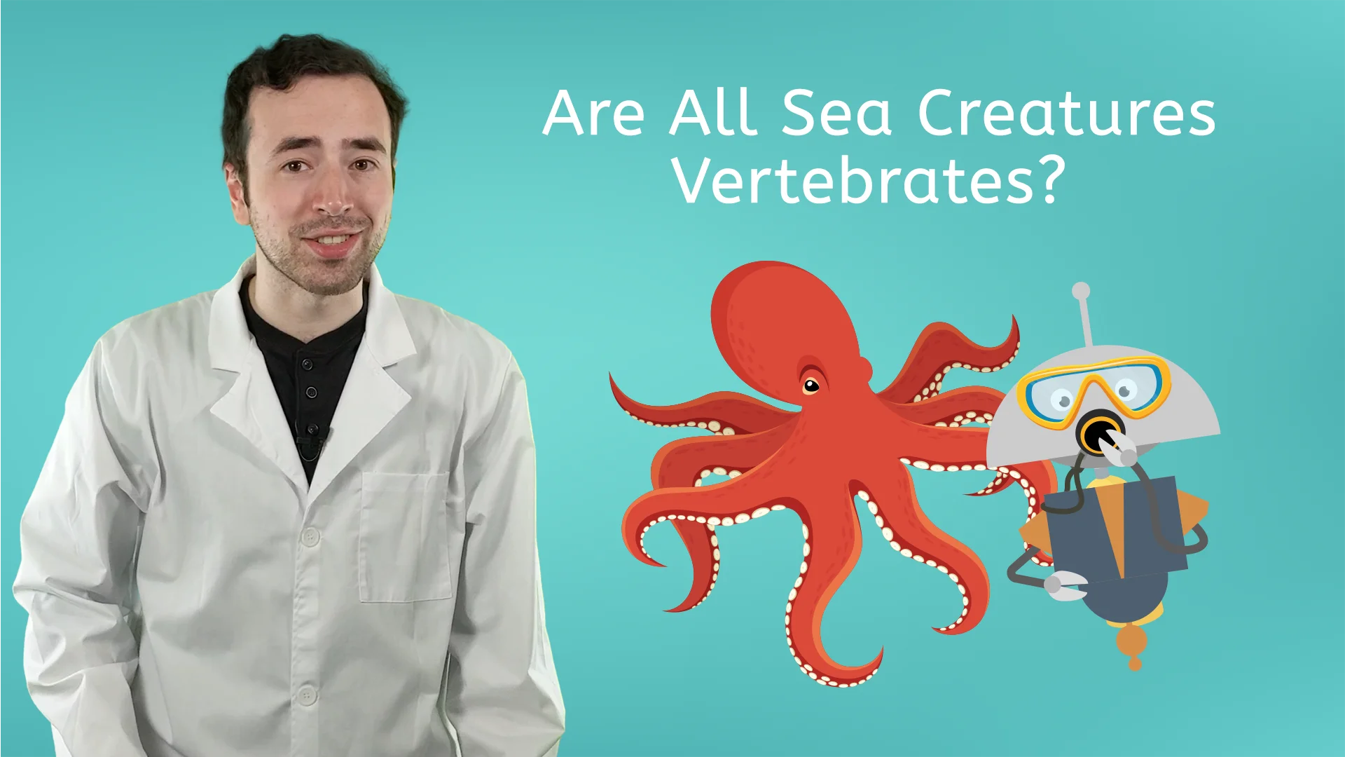 Are All Sea Creatures Vertebrates?