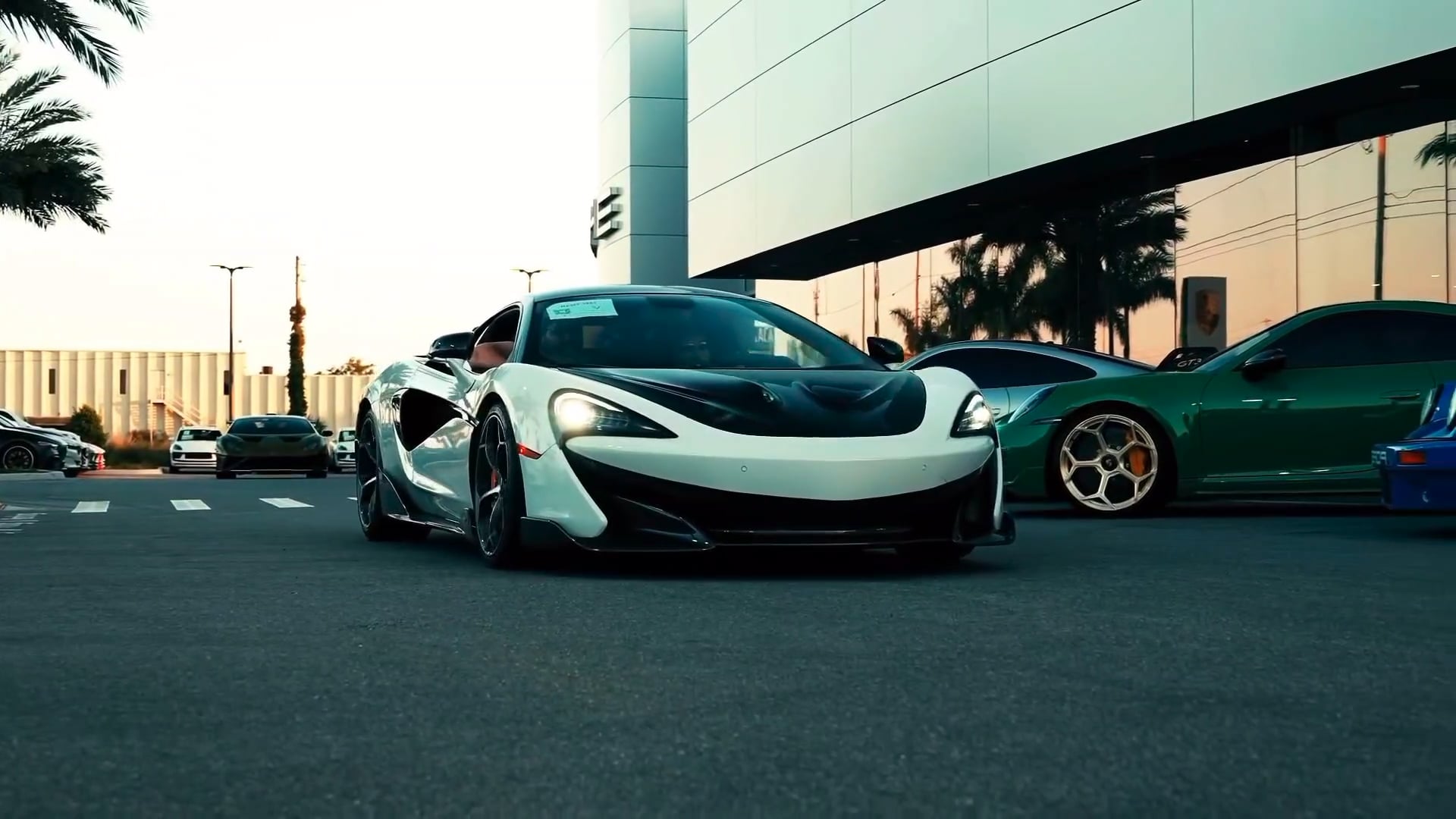 Velocity Exotic Cars - Tampa Exotic Car Rentals in Tampa, Florida